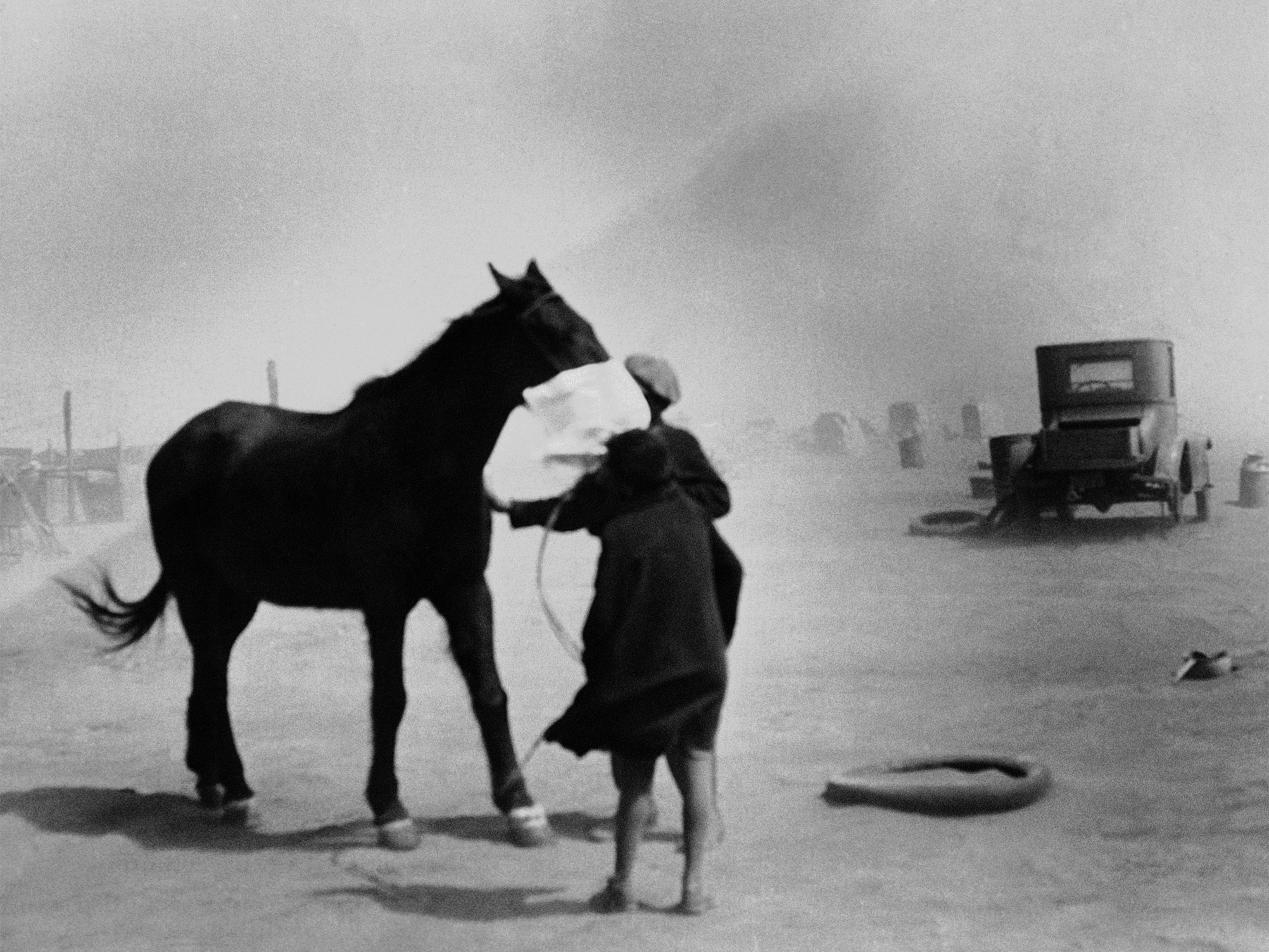 Dust Bowl Animals
