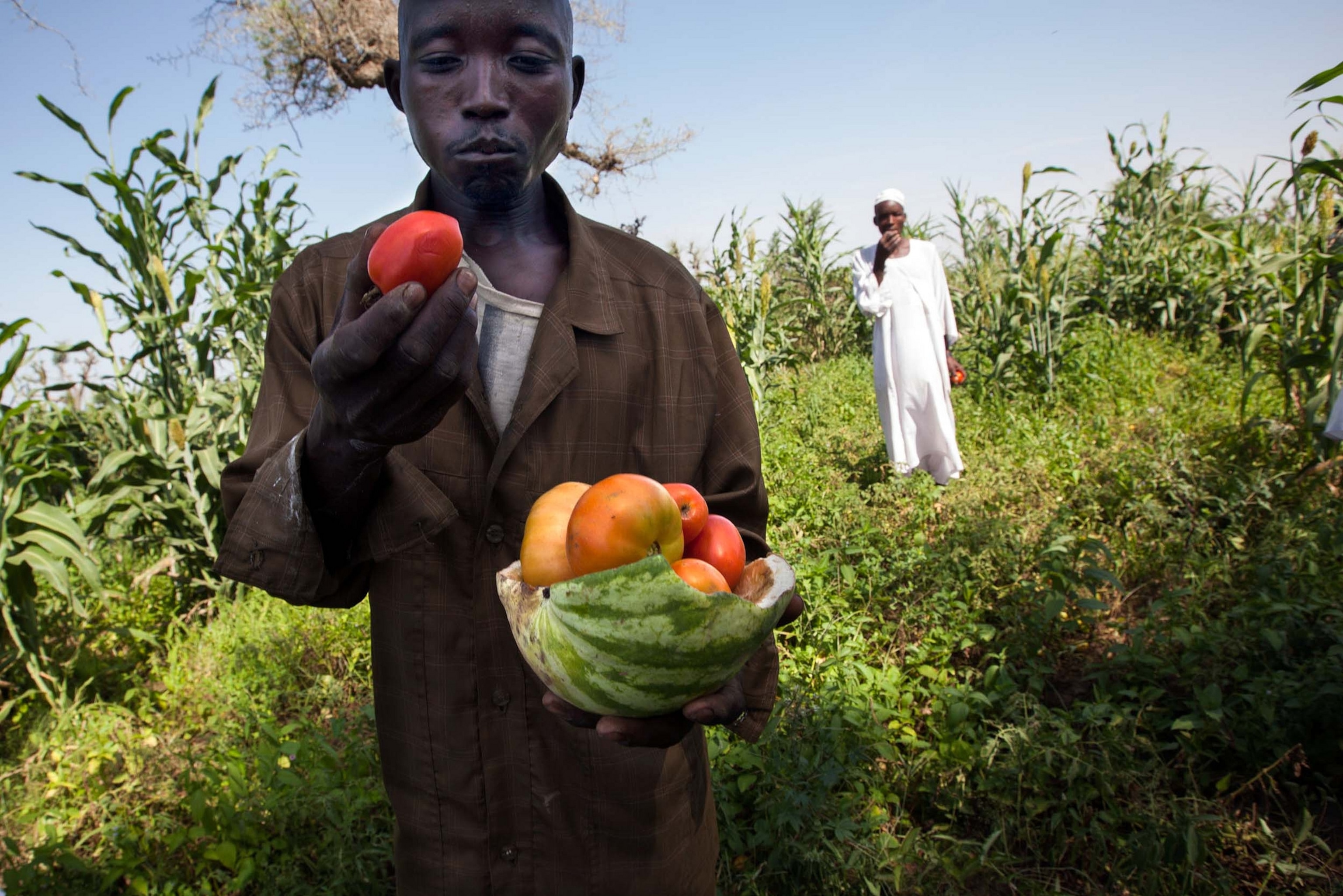 We Need Young Farmers—Here’s Why I’m Not One | National Geographic