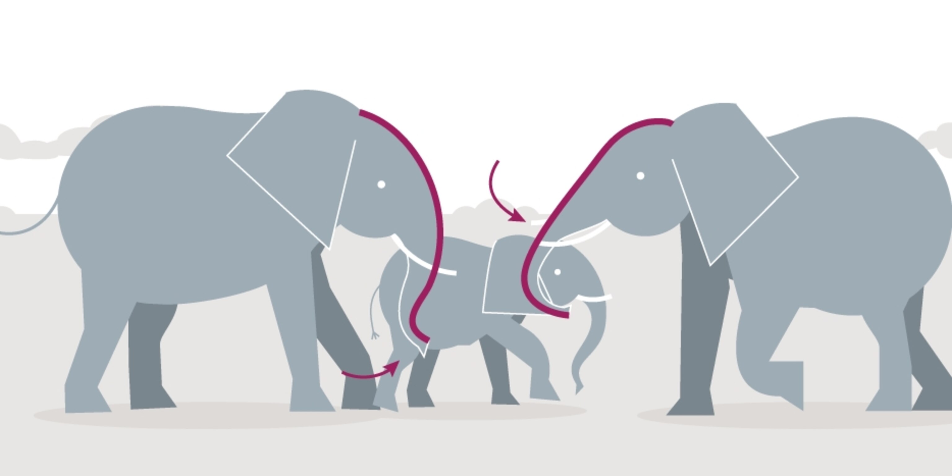 What Elephant Calls Mean: A User’s Guide
