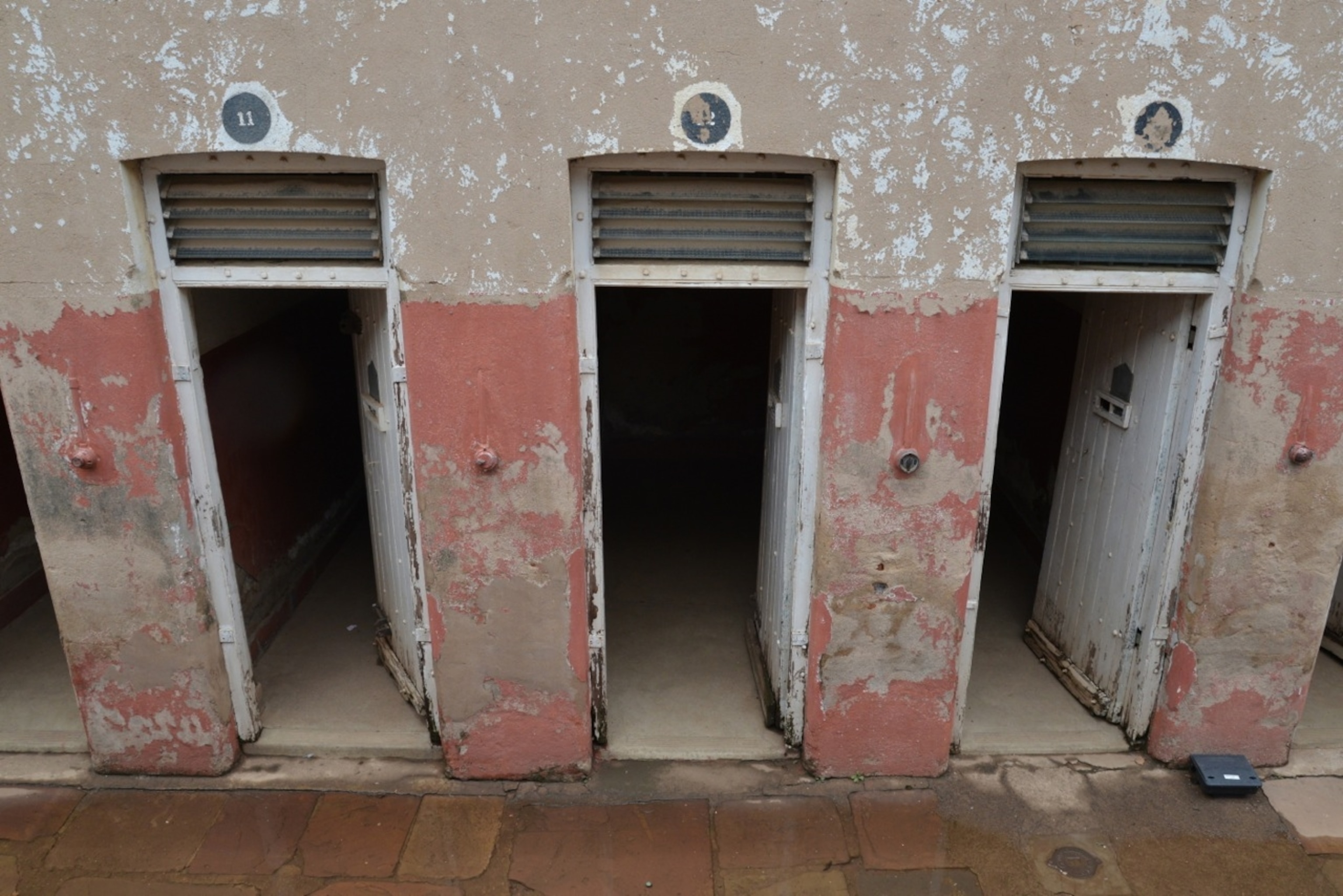 Number Four | National Geographic