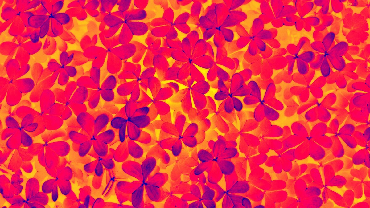 Finding Life on Exoplanets Is a Step Closer, Thanks to Earth's Plants ...