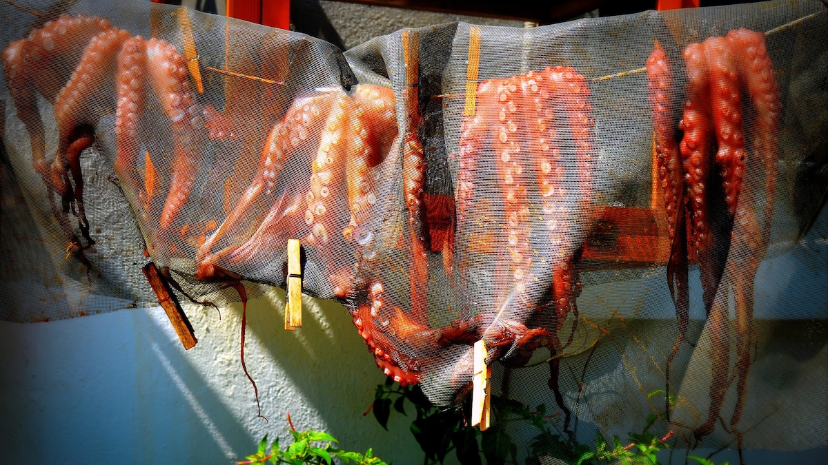 12 Photographers Show Us the Food Landscape in Their Cities | National ...