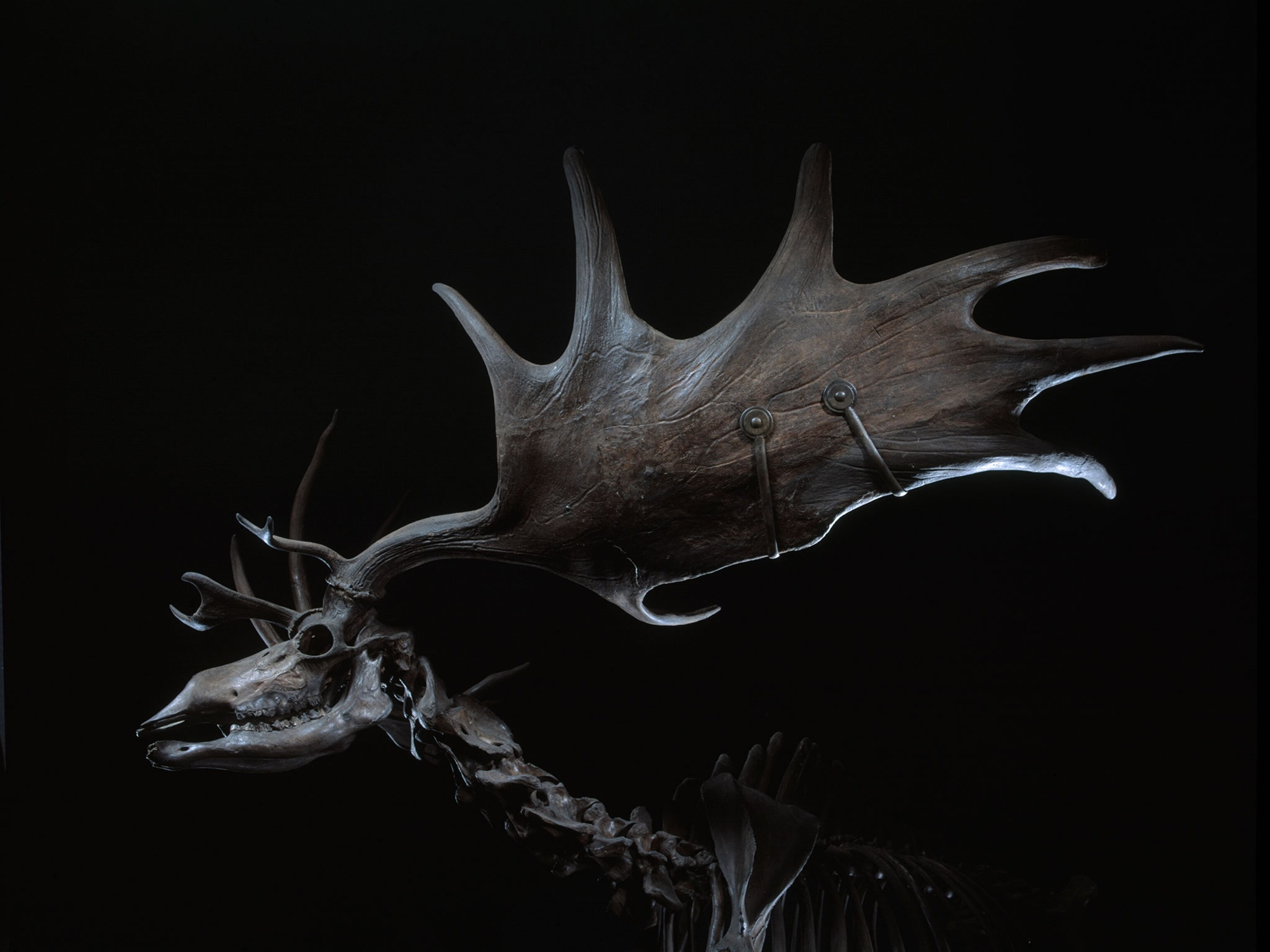 The Most Visual Science Textbook You've Never Seen