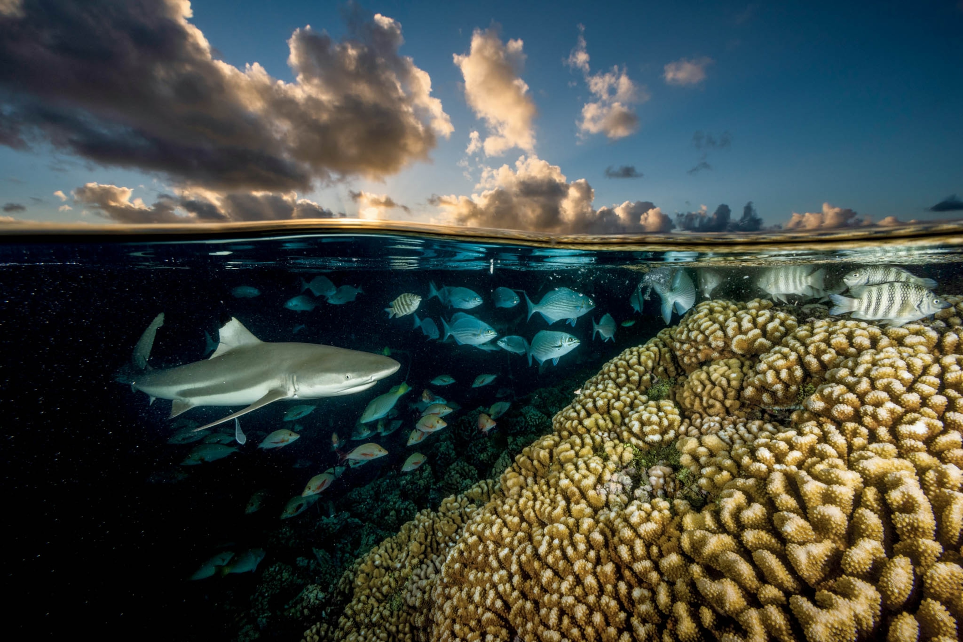 What to do in French Polynesia