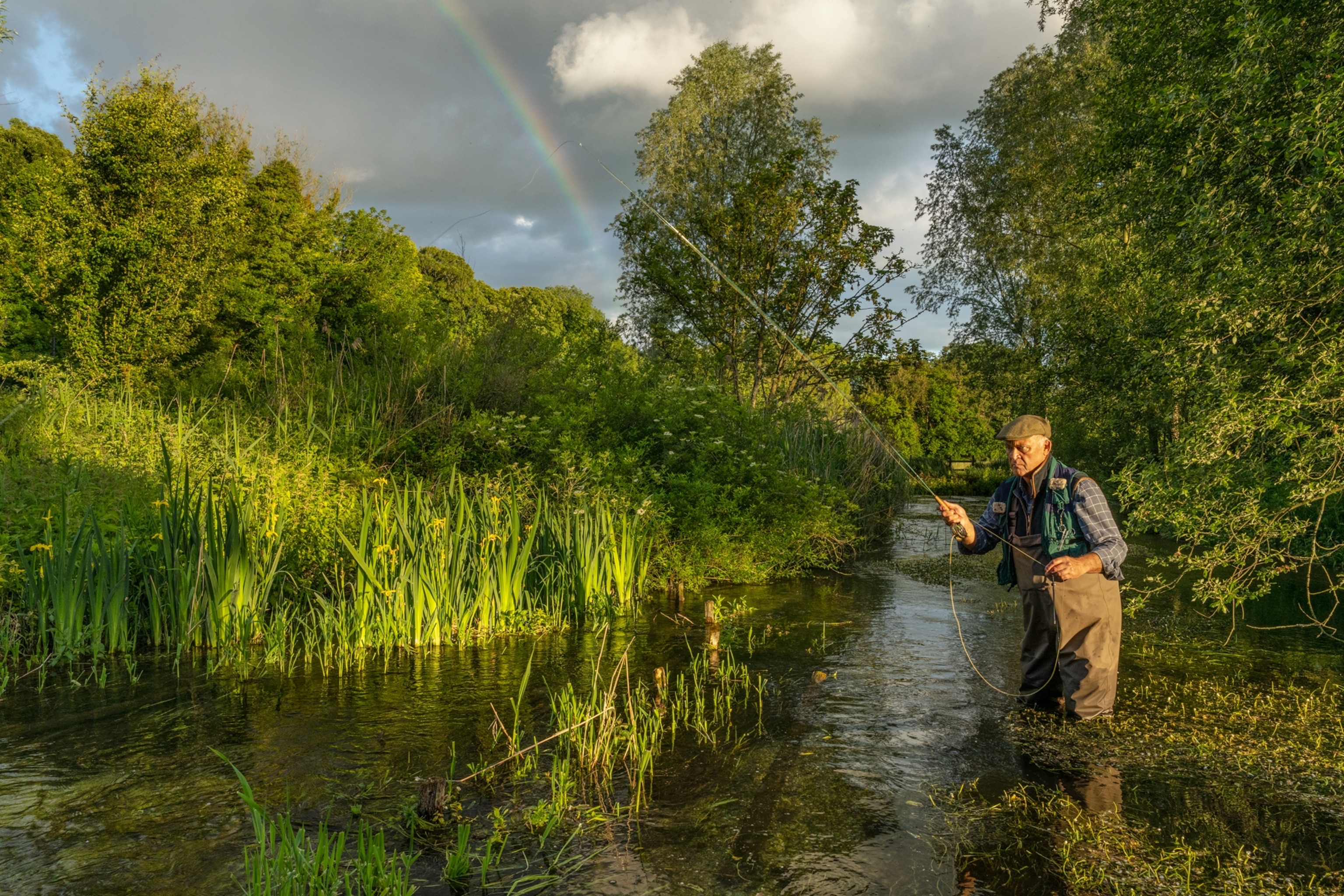 England’s chalk streams were millions of years in the making. Can they ...
