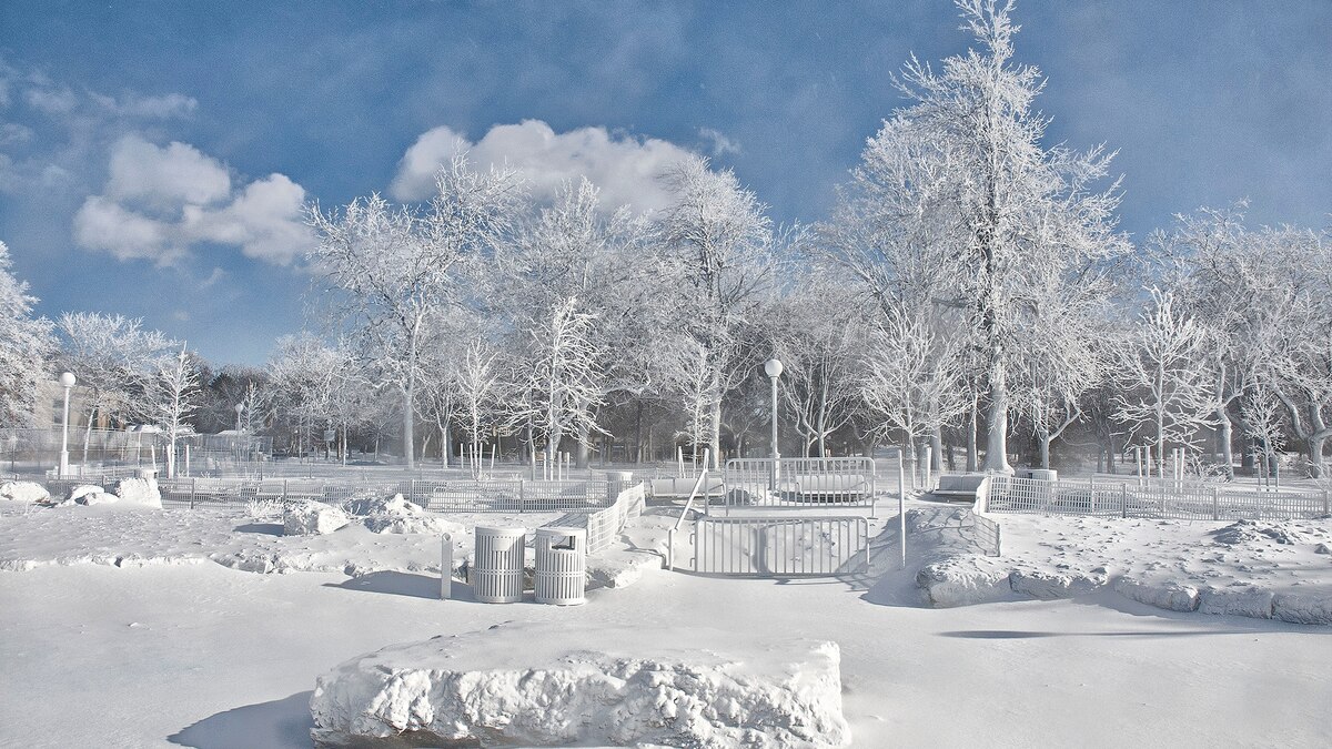 3 Winter Words You Should Know | National Geographic