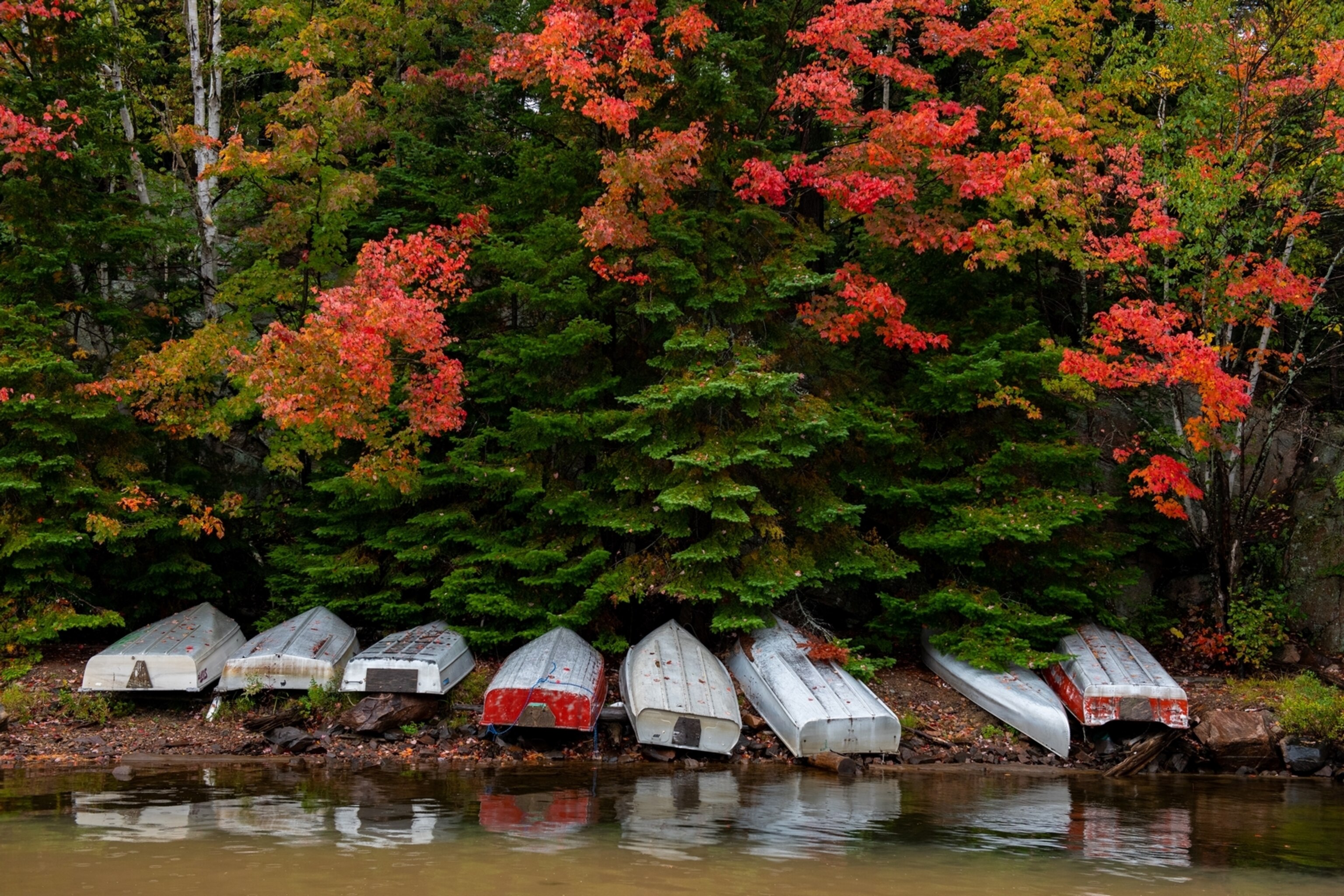 Canada’s Best Road Trips: Chasing Fall Colors in Ontario and Quebec