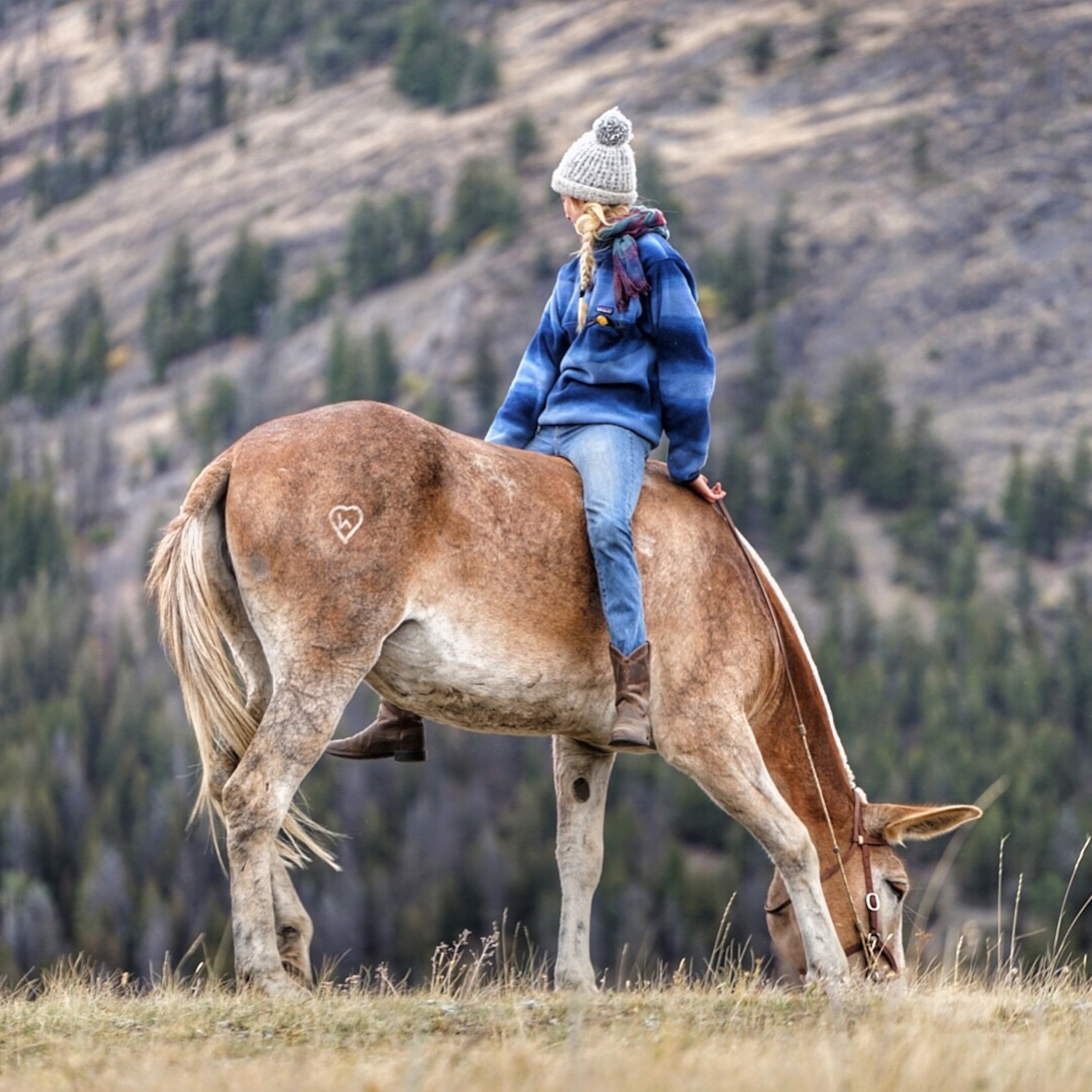 Photos: Life on the Trail in Montana's Wilderness -- National Geographic