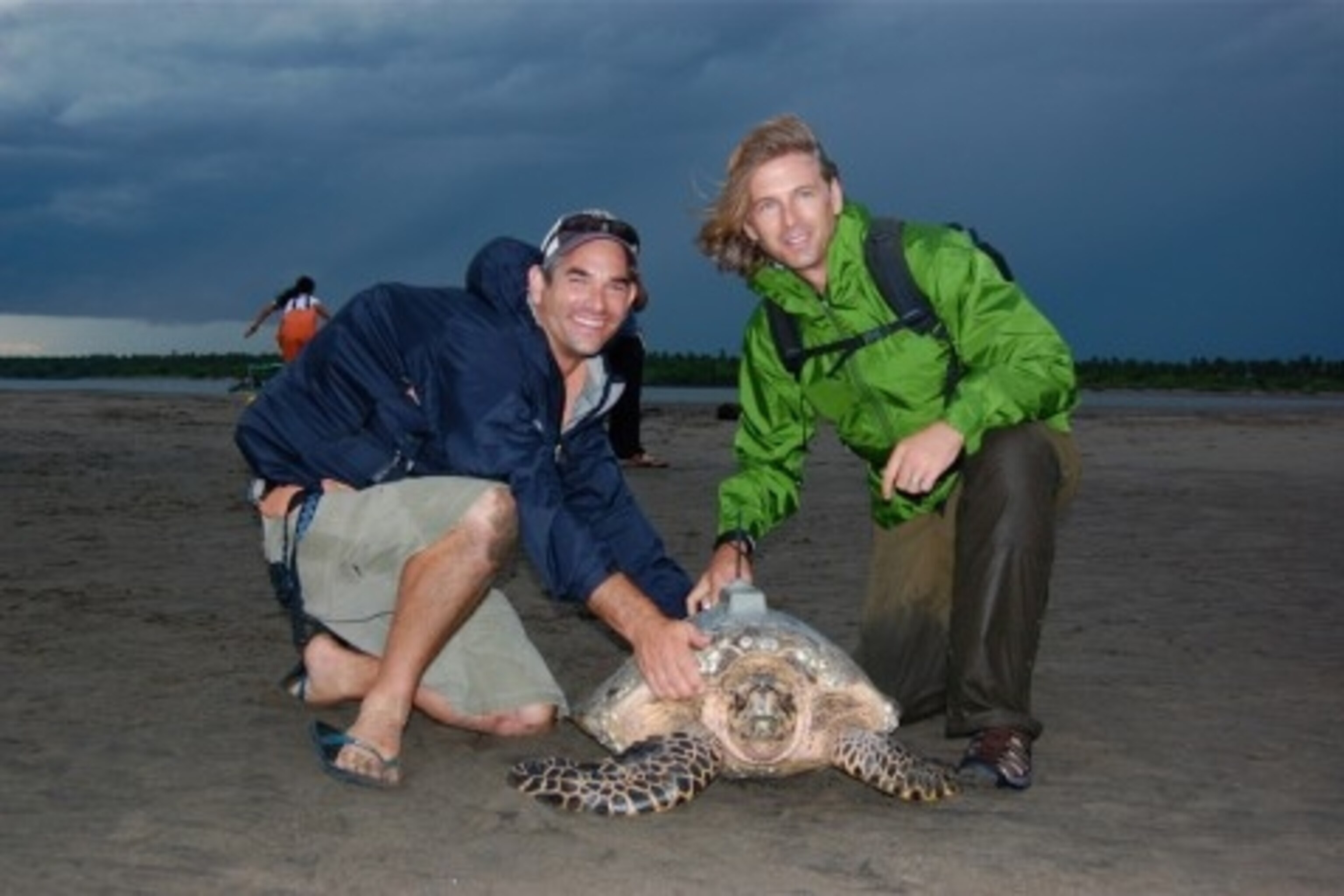 Wallace J. Nichols on Turtles… and Tacos