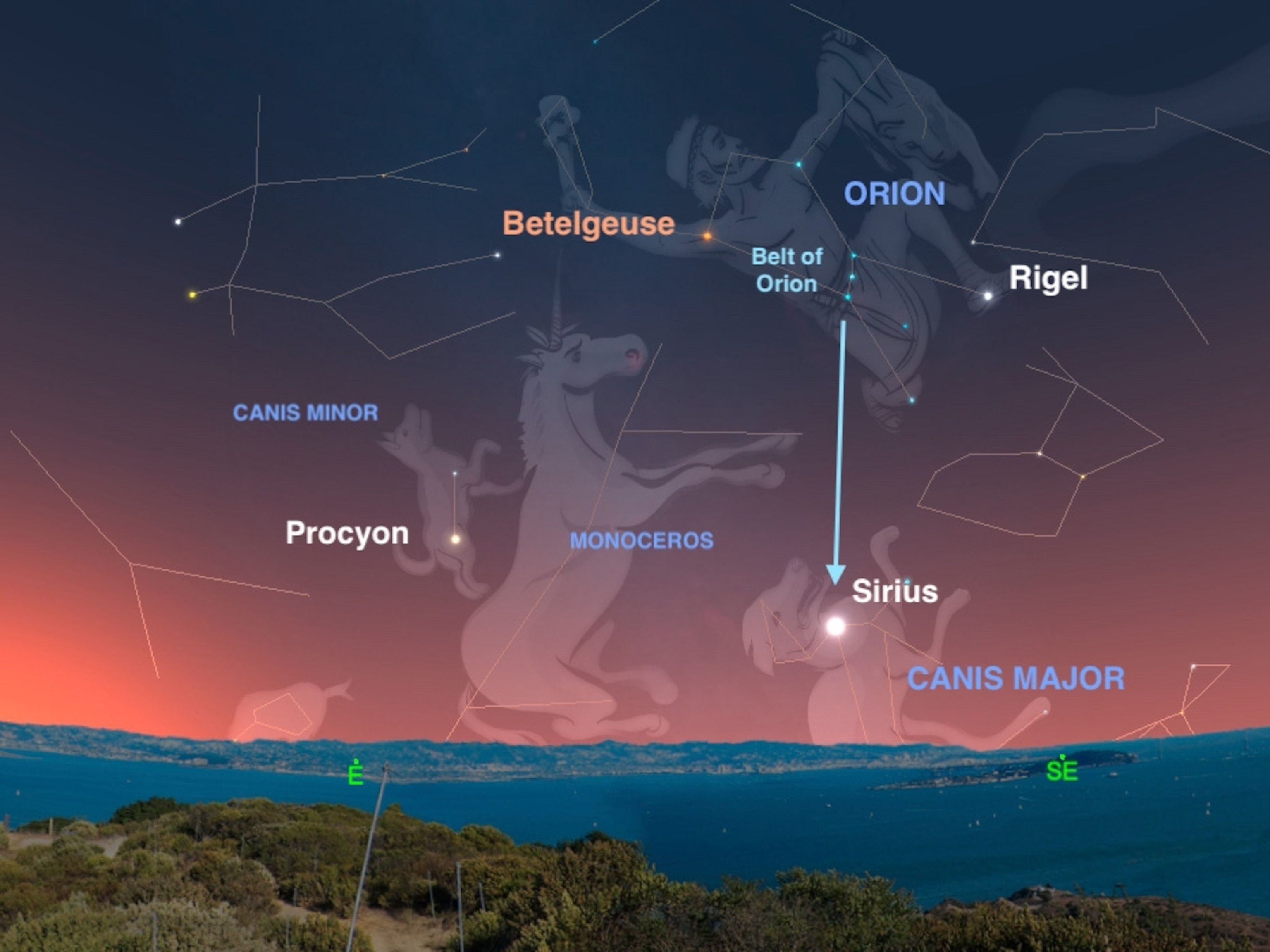 Your family guide to stargazing the ‘dog days’ of summer