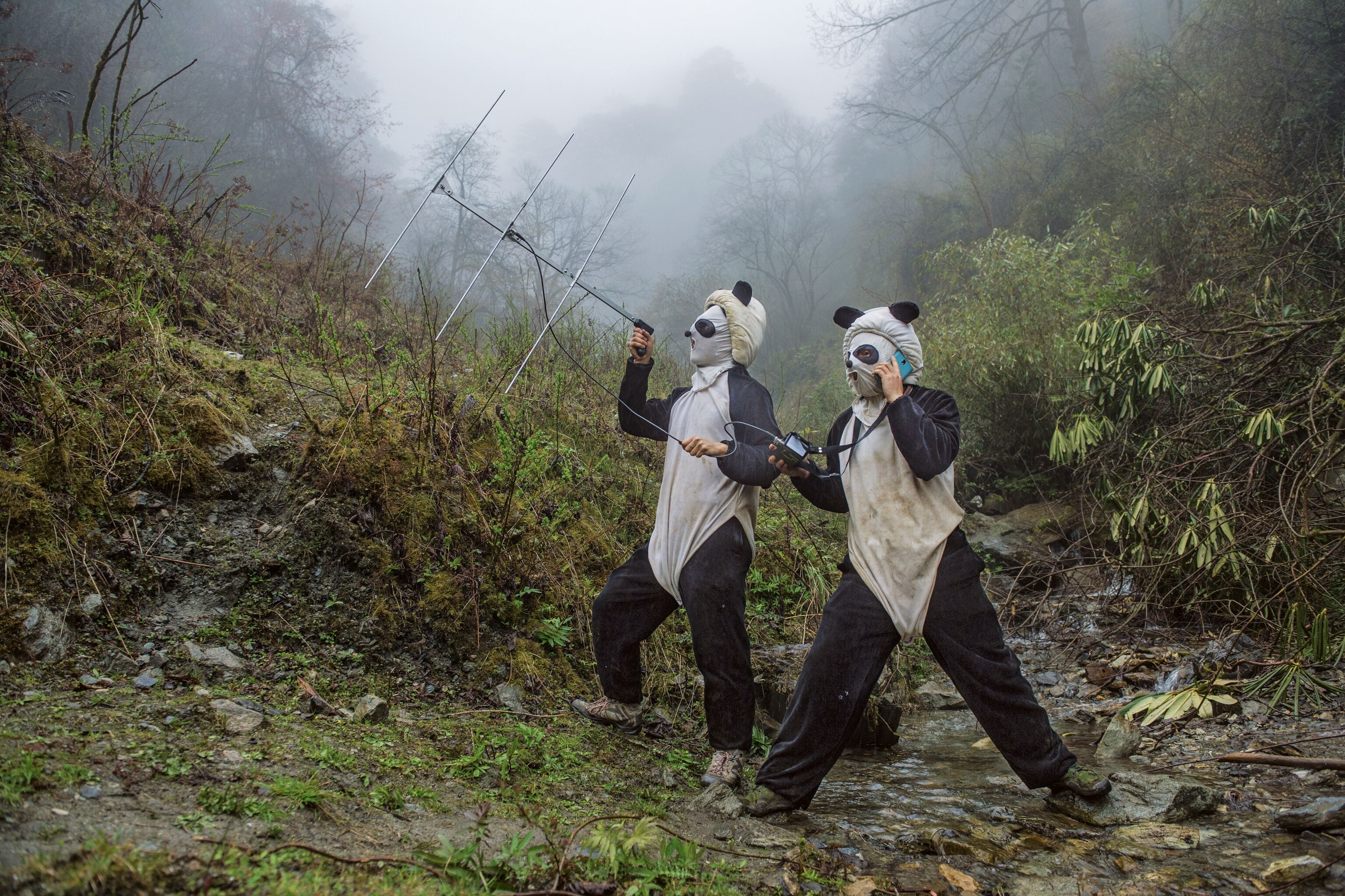 Pandas Get to Know Their Wild Side