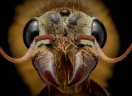 See Our Best Wildlife Photos From 2023 National Geographic