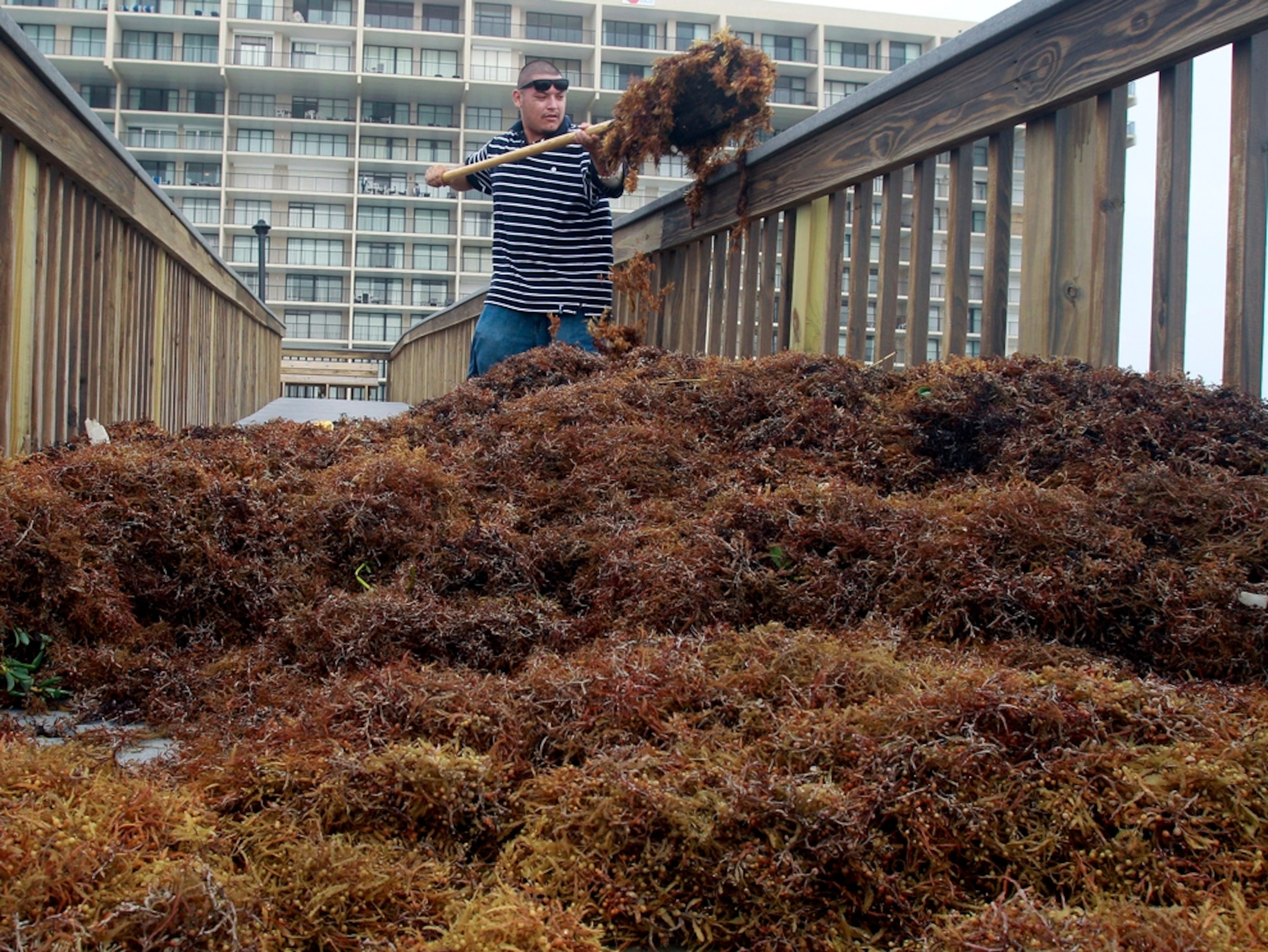 Hurricane Alex Spawns Tornadoes, Could've Been Stronger | National ...