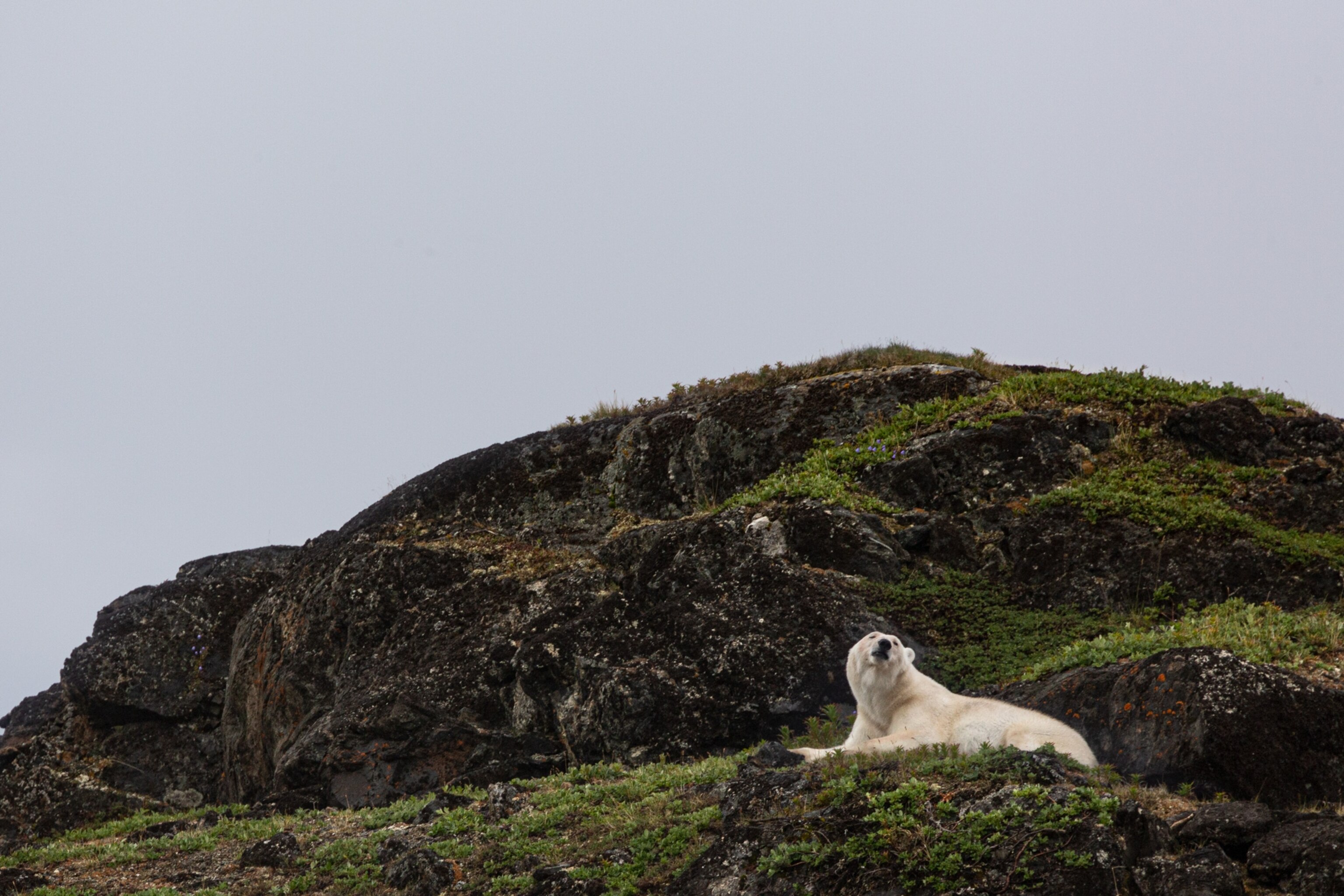 Why Torngat Mountains National Park is Canada’s ‘place of spirits’