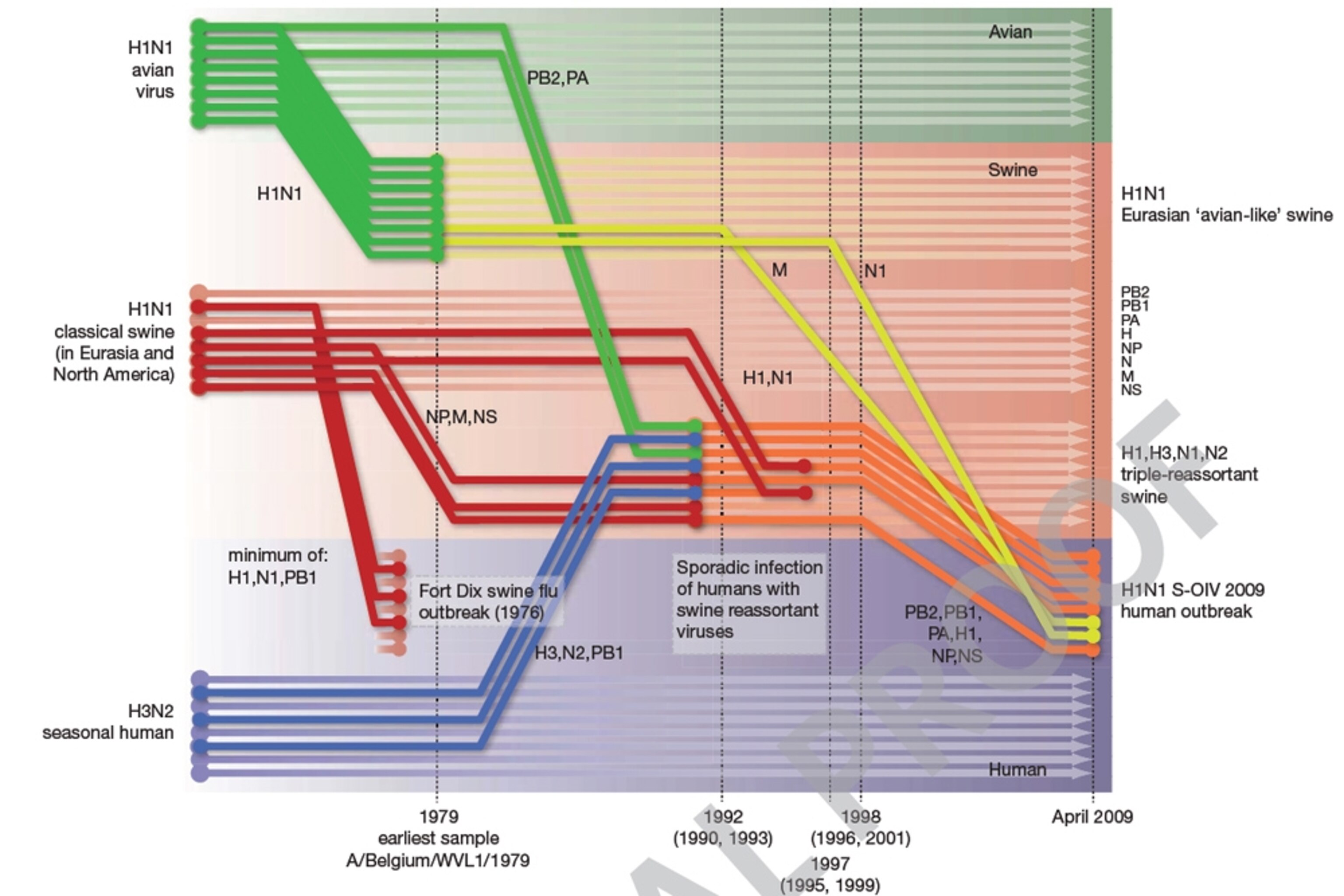 Origins of the swine flu pandemic