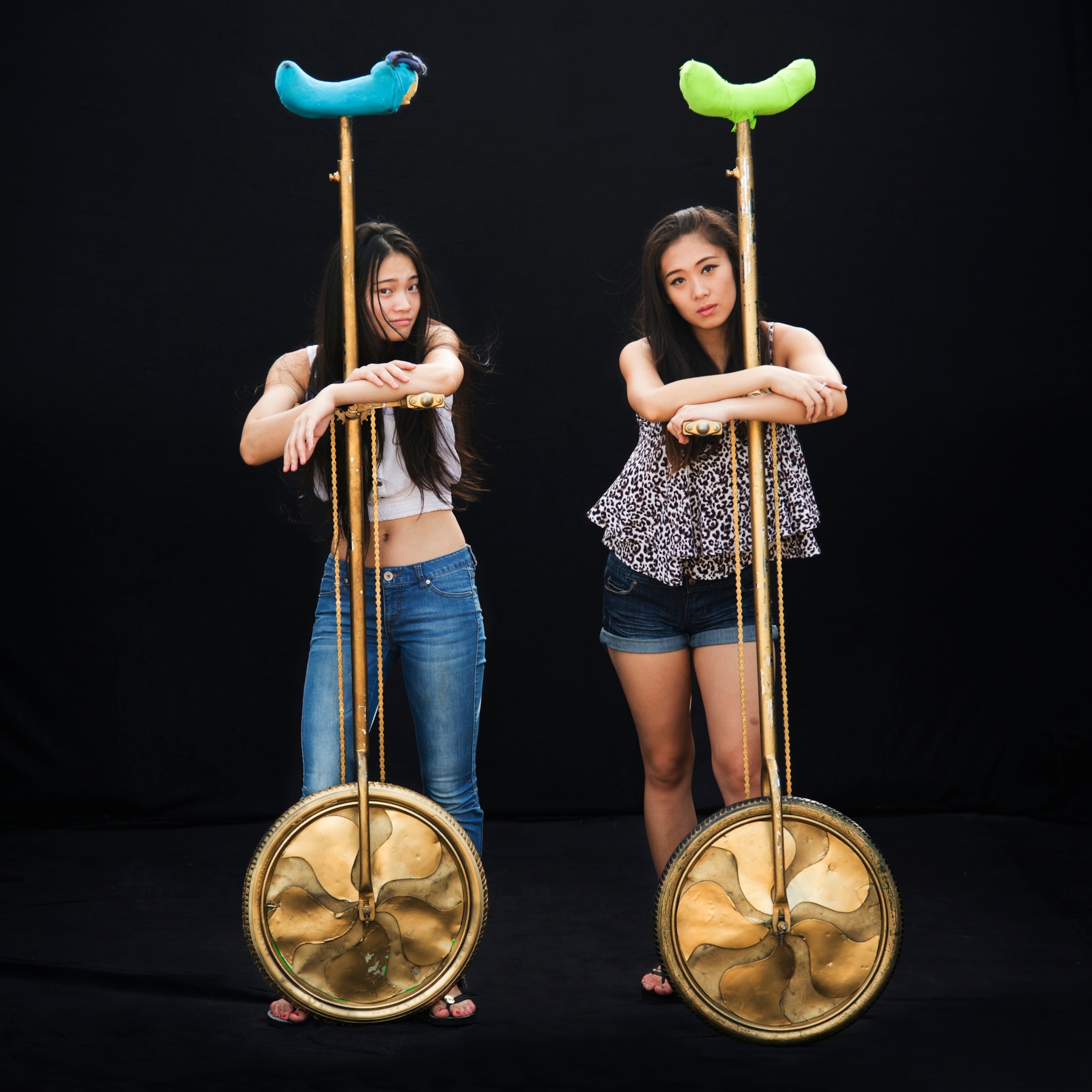 Ringling’s End Could Mean Freedom For All U.S. Circus Animals