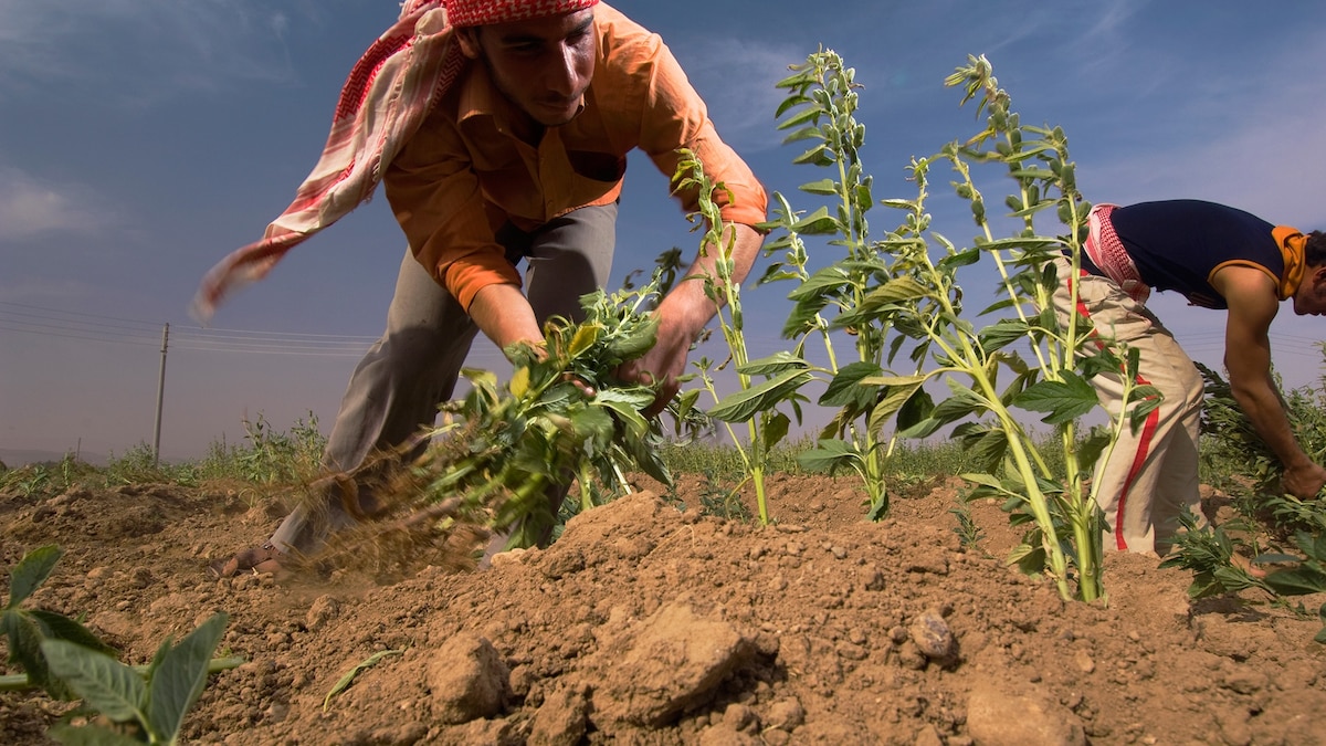 Common as Dirt, Which Isn’t Actually all That Common | National Geographic