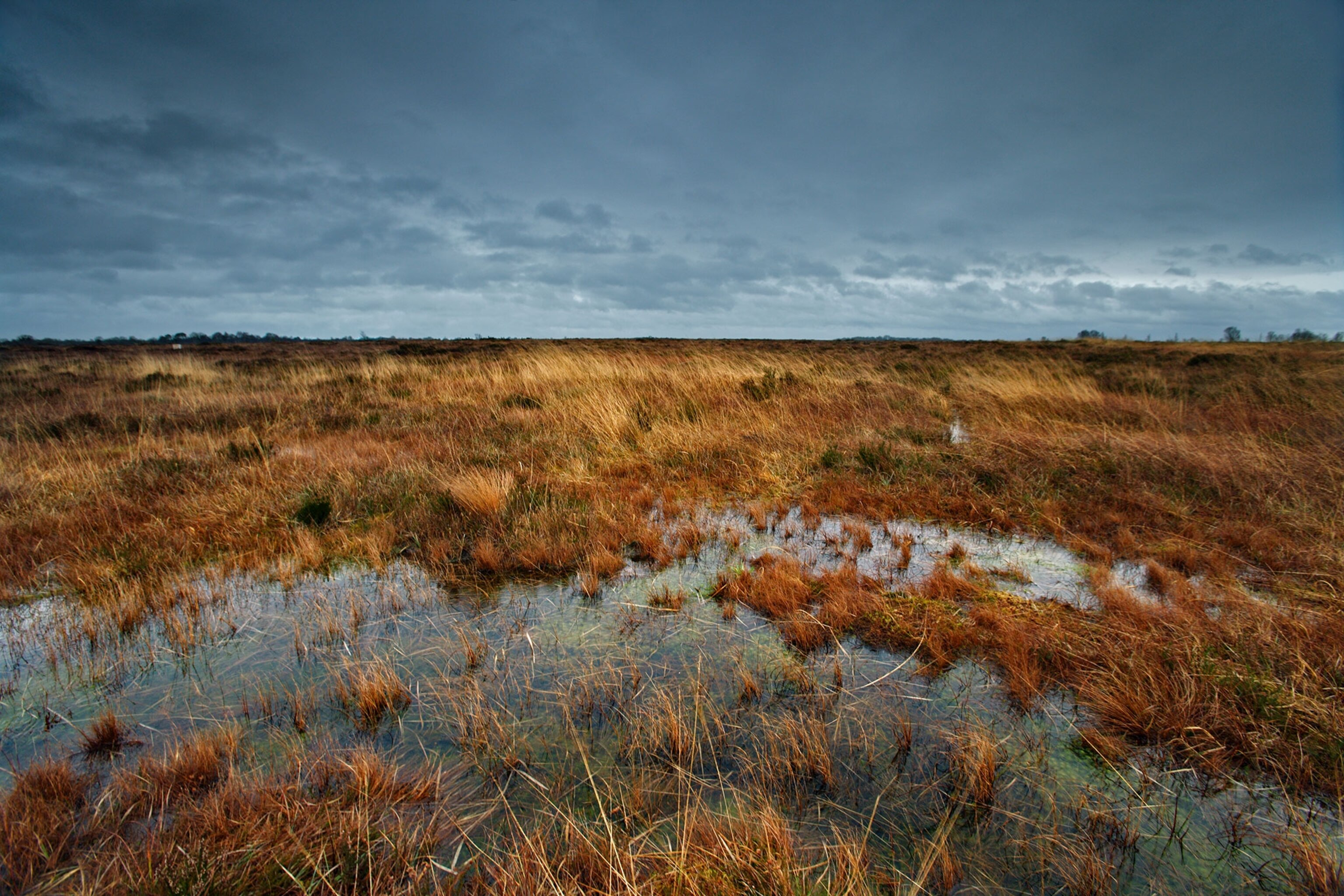 Tollund Man: What we know about Europe’s most famous bog body