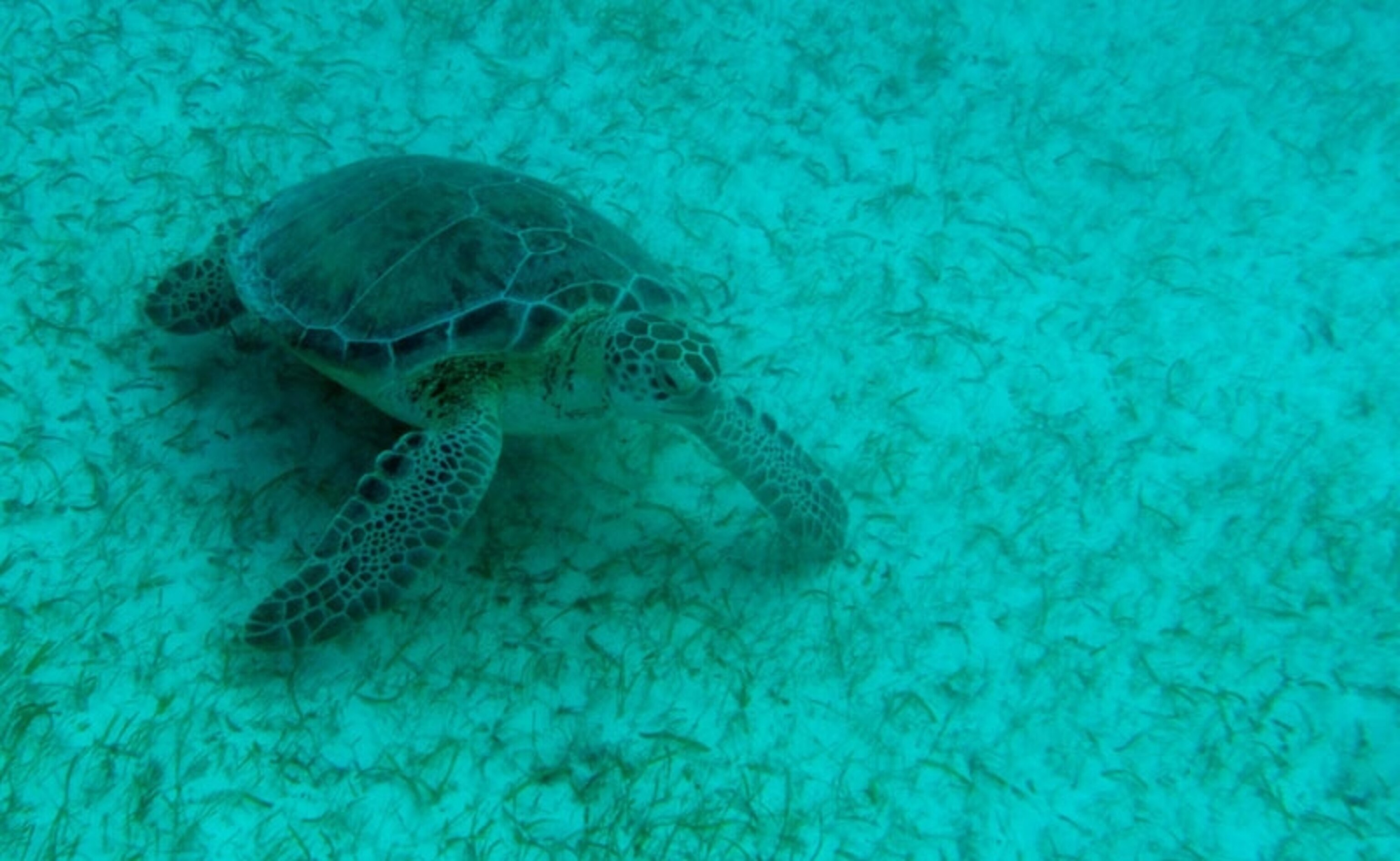 Mexico Photo Safari | National Geographic