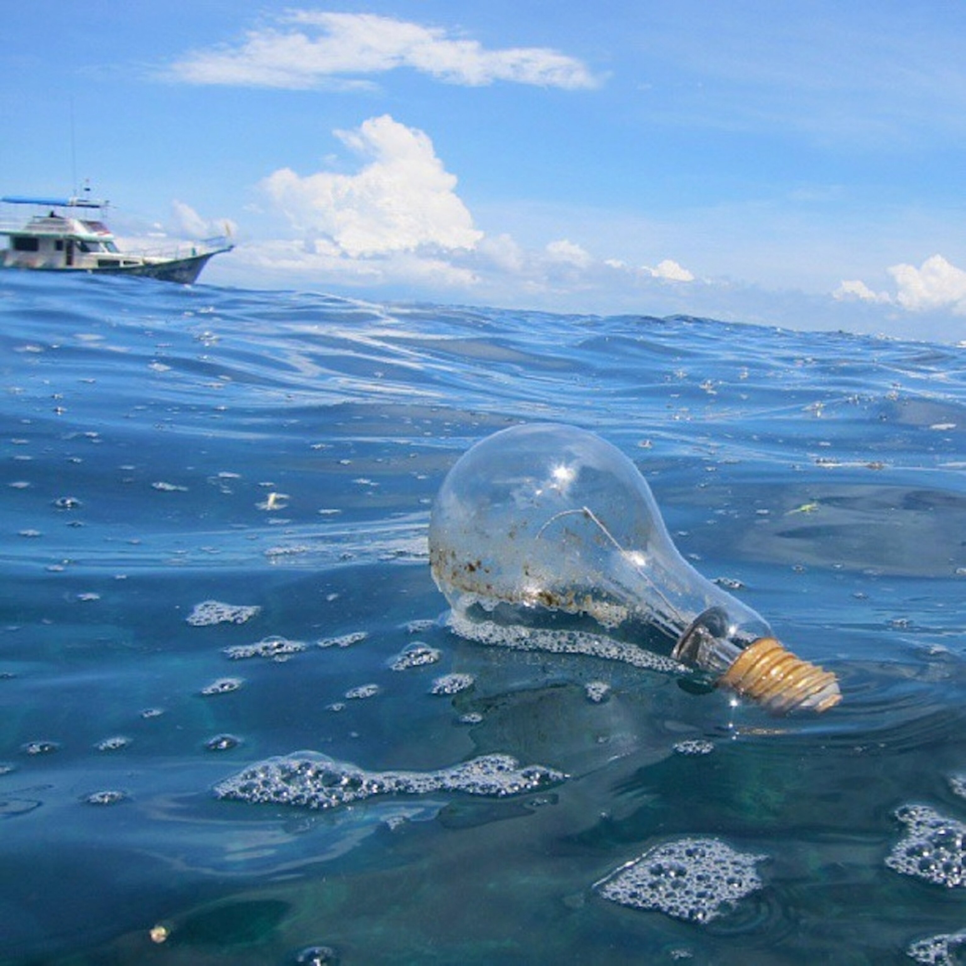 Capturing the Beauty of Trash