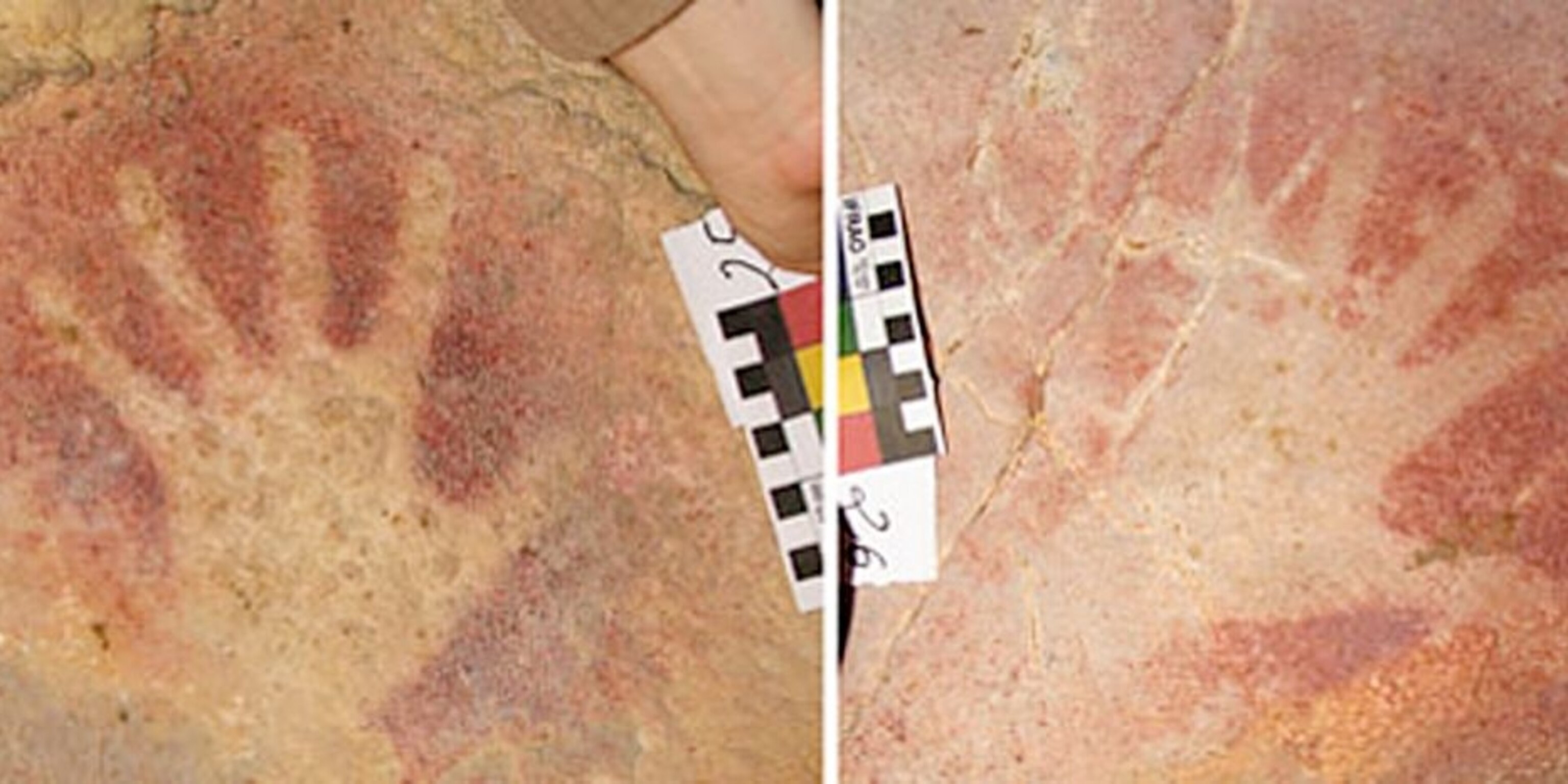 Can You Tell a Woman by Her Handprint?