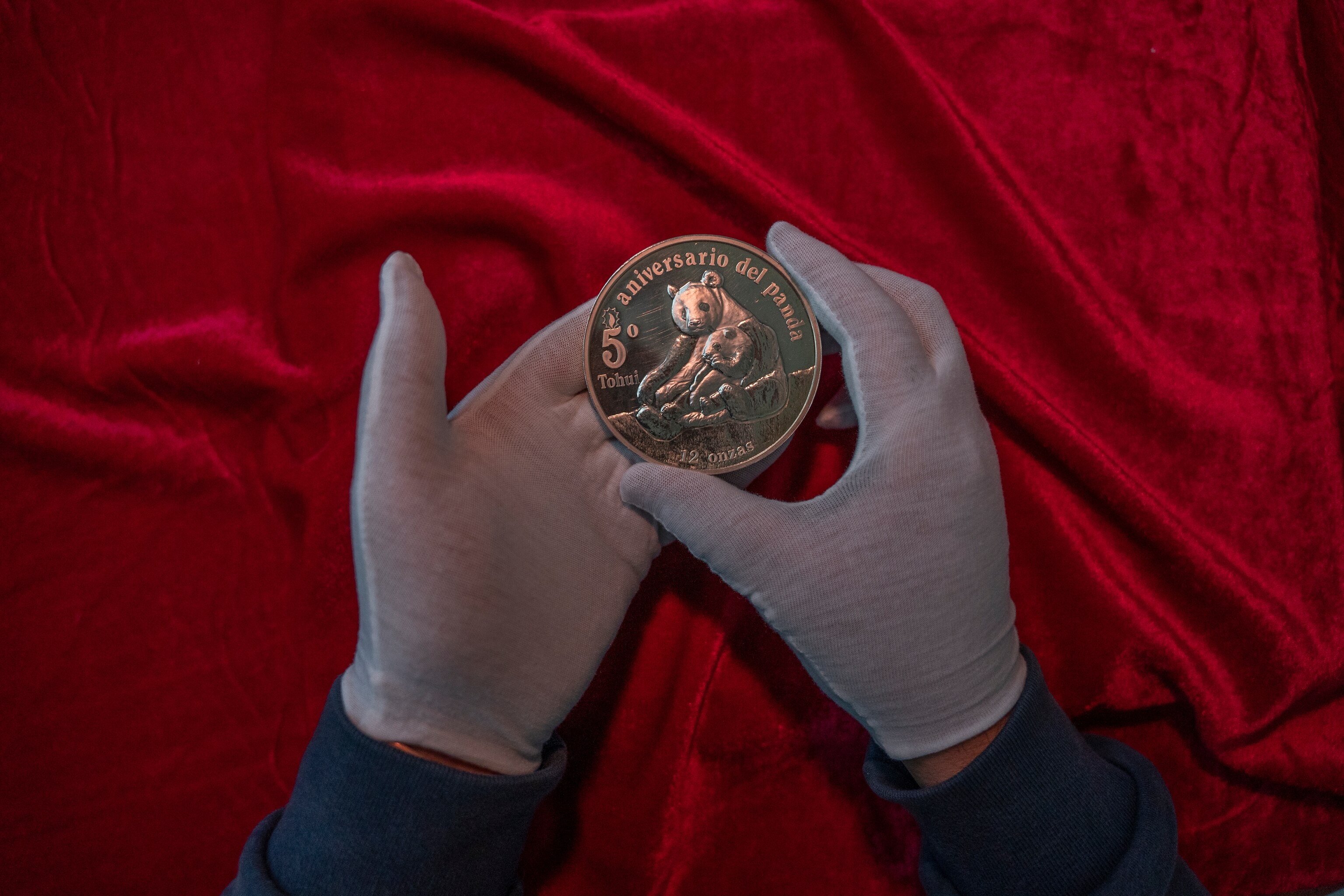 Meet Mexico's 'forgotten panda.' She's the last of her kind.