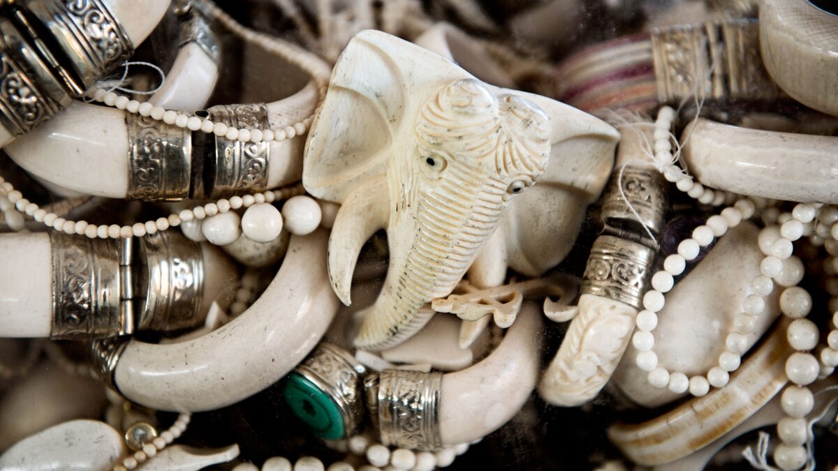 A Ton of Ivory Was Crushed in Times Square … Here’s Why | National ...