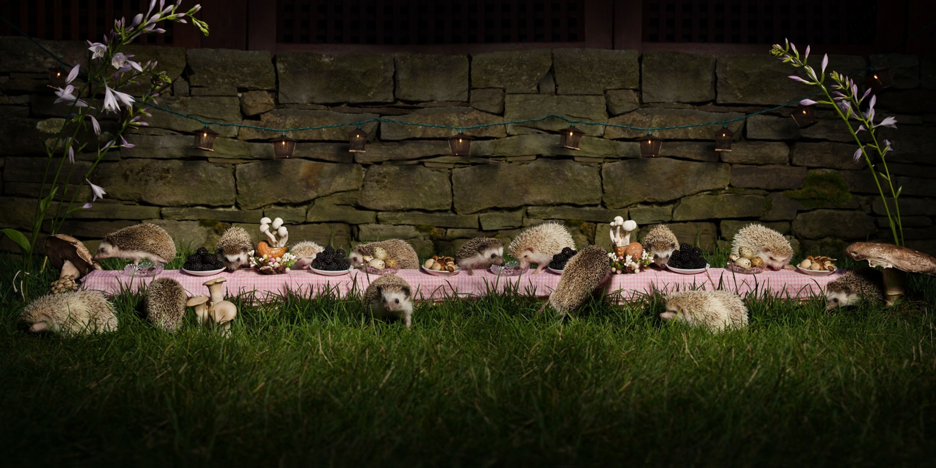 Whimsical Animal Feasts Spring From This Photographer's Imagination