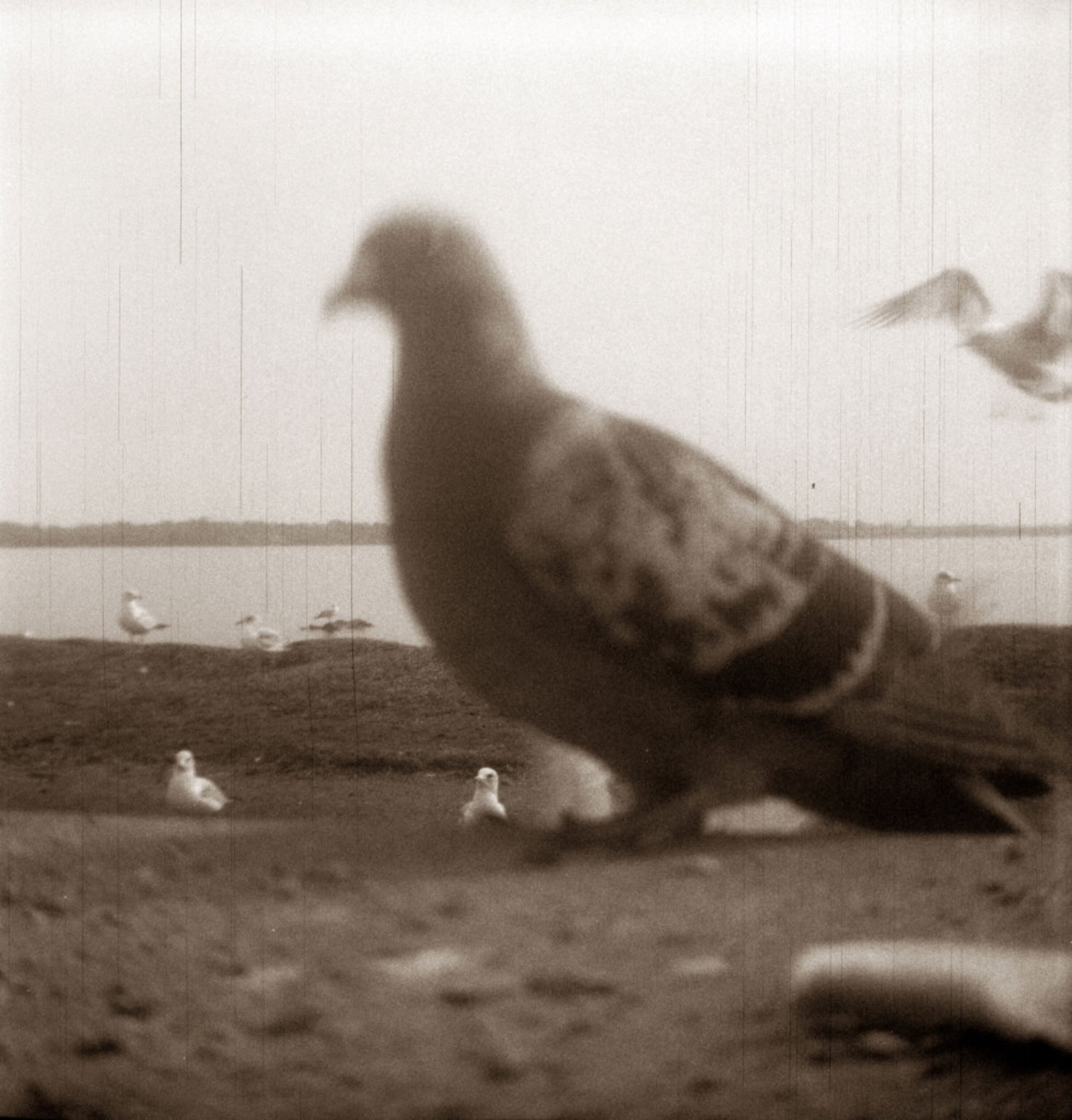 The Story of Flight Told in One Roll of Film | National Geographic