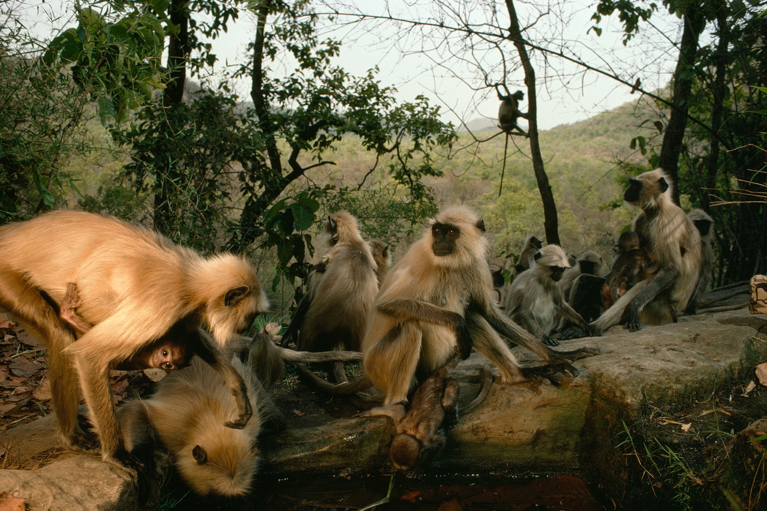 27 photos from the Nat Geo archives that turn back the clock