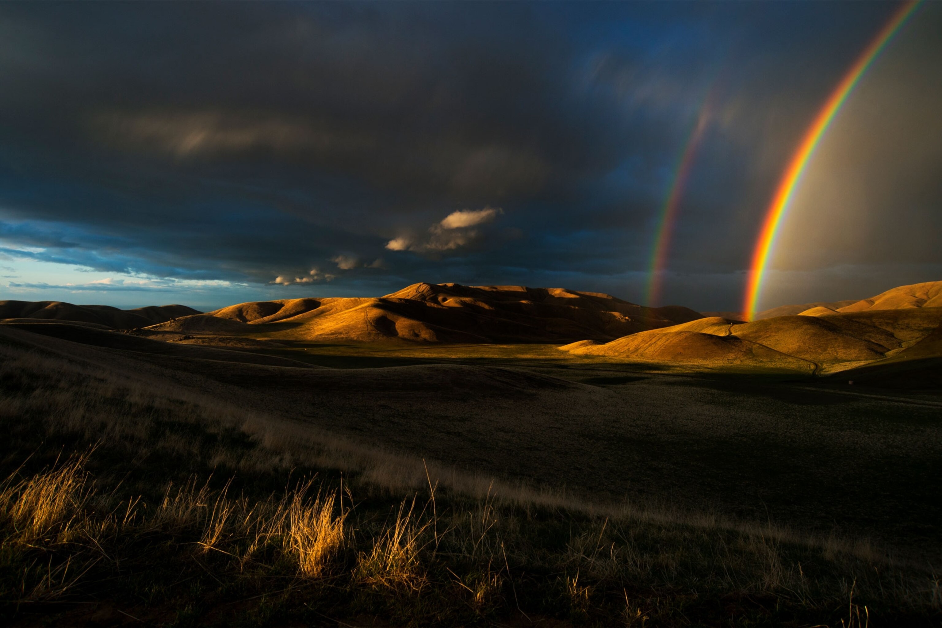 400 years ago, visitors to this painted cave took hallucinogens
