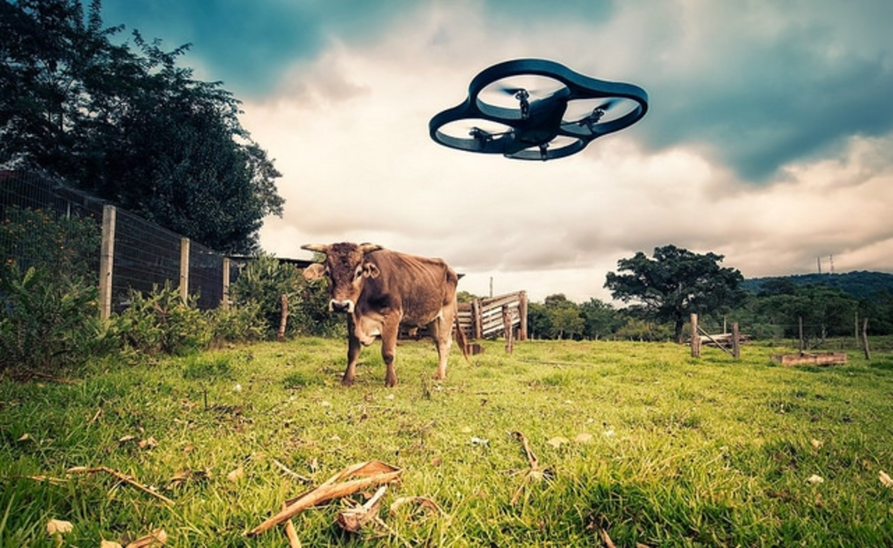How Drones Will Change the Way You Eat | National Geographic