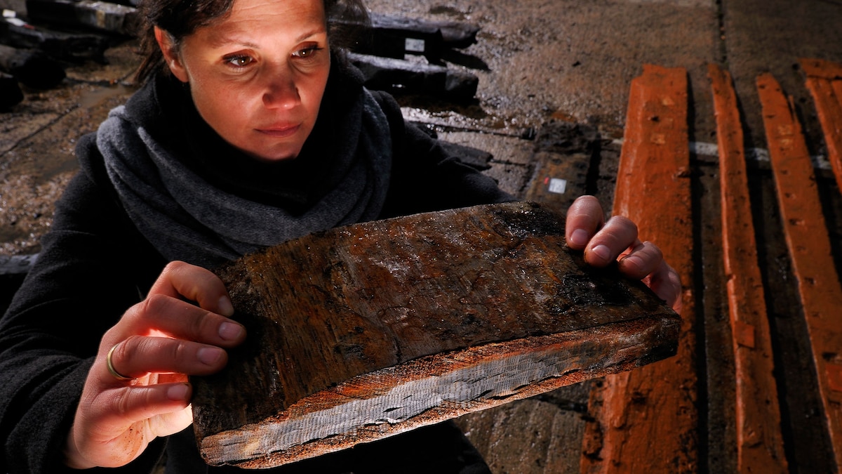 How tree rings help date archaeological sites | National Geographic