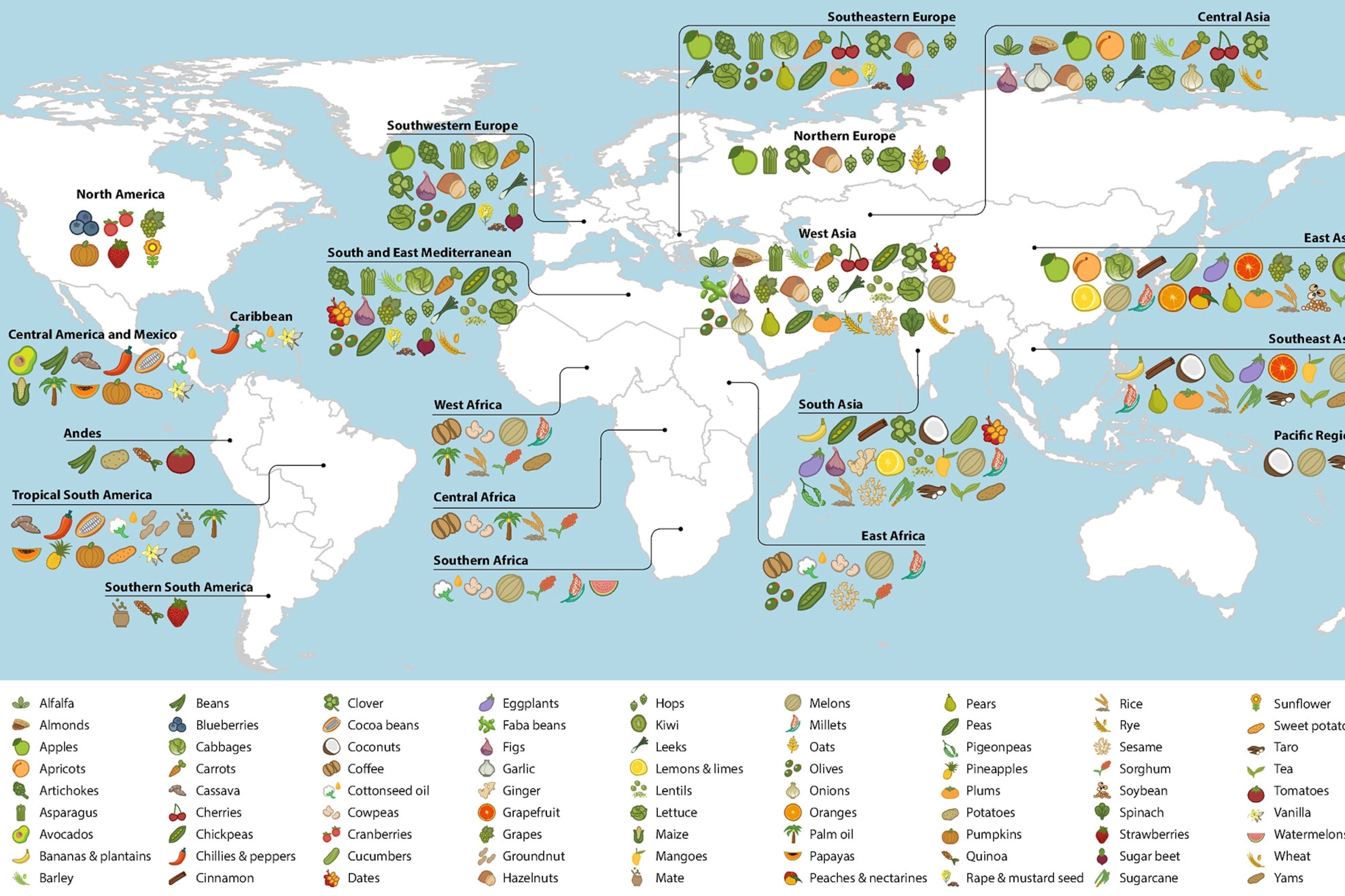 6 Ways Food Is Immigration's Biggest Success Story