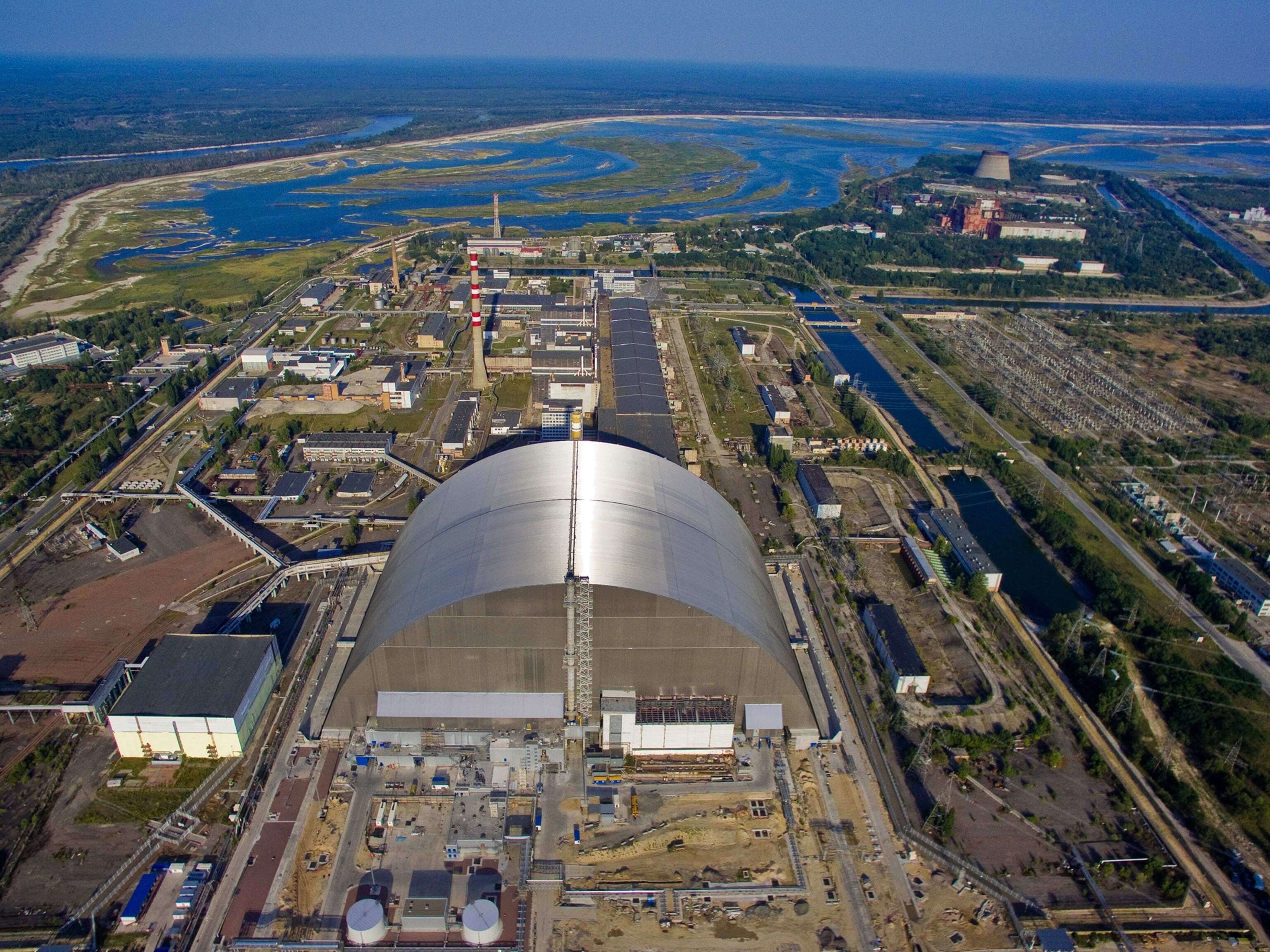Radioactive dogs? What we can learn from Chernobyl's strays