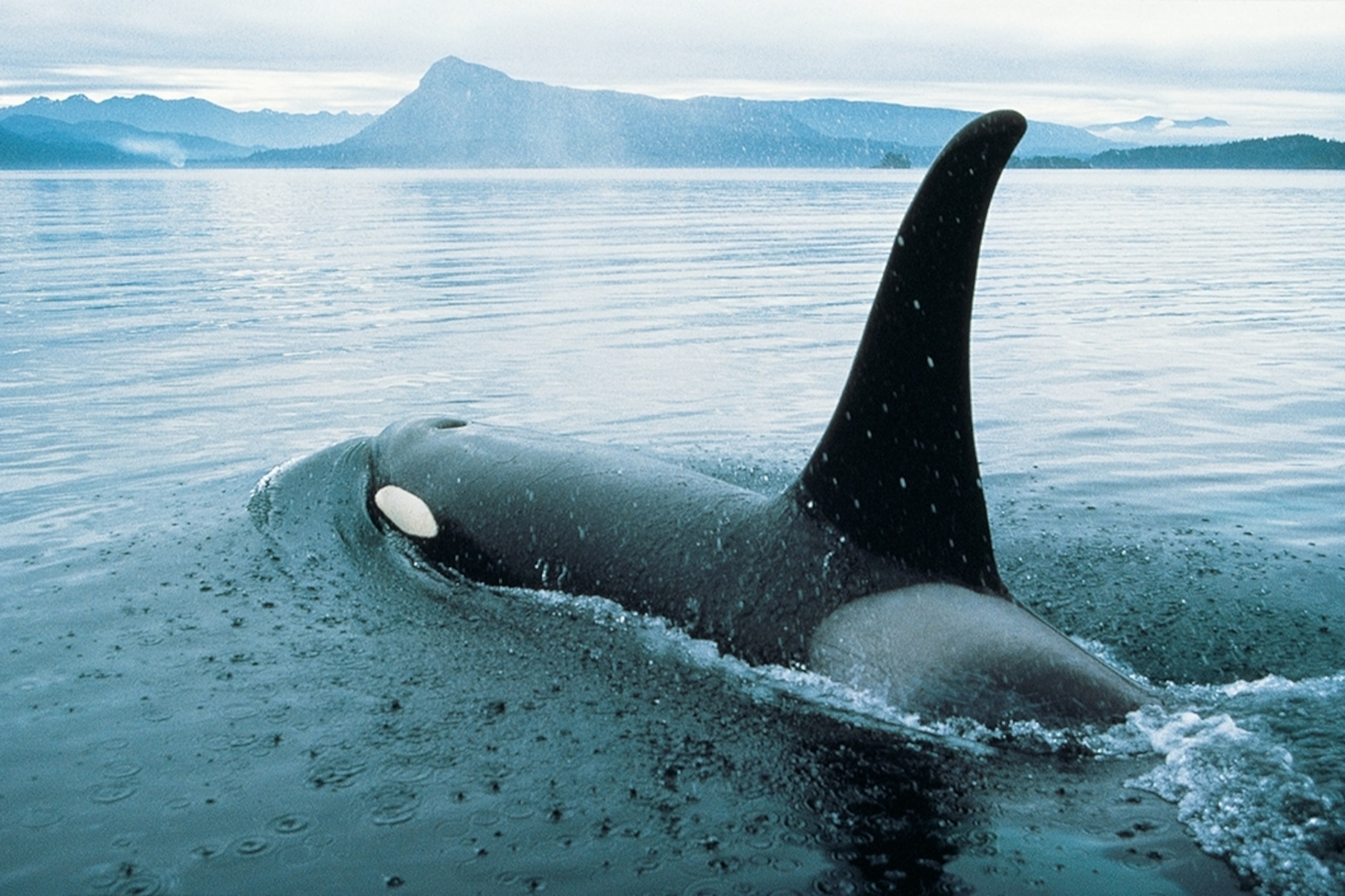 What to Do and See in British Columbia, Canada