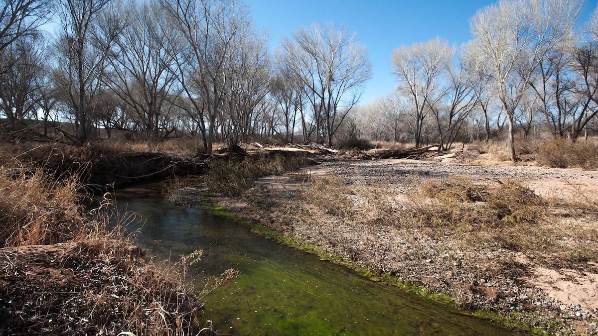 We pump too much groundwater, and rivers are in danger | National ...