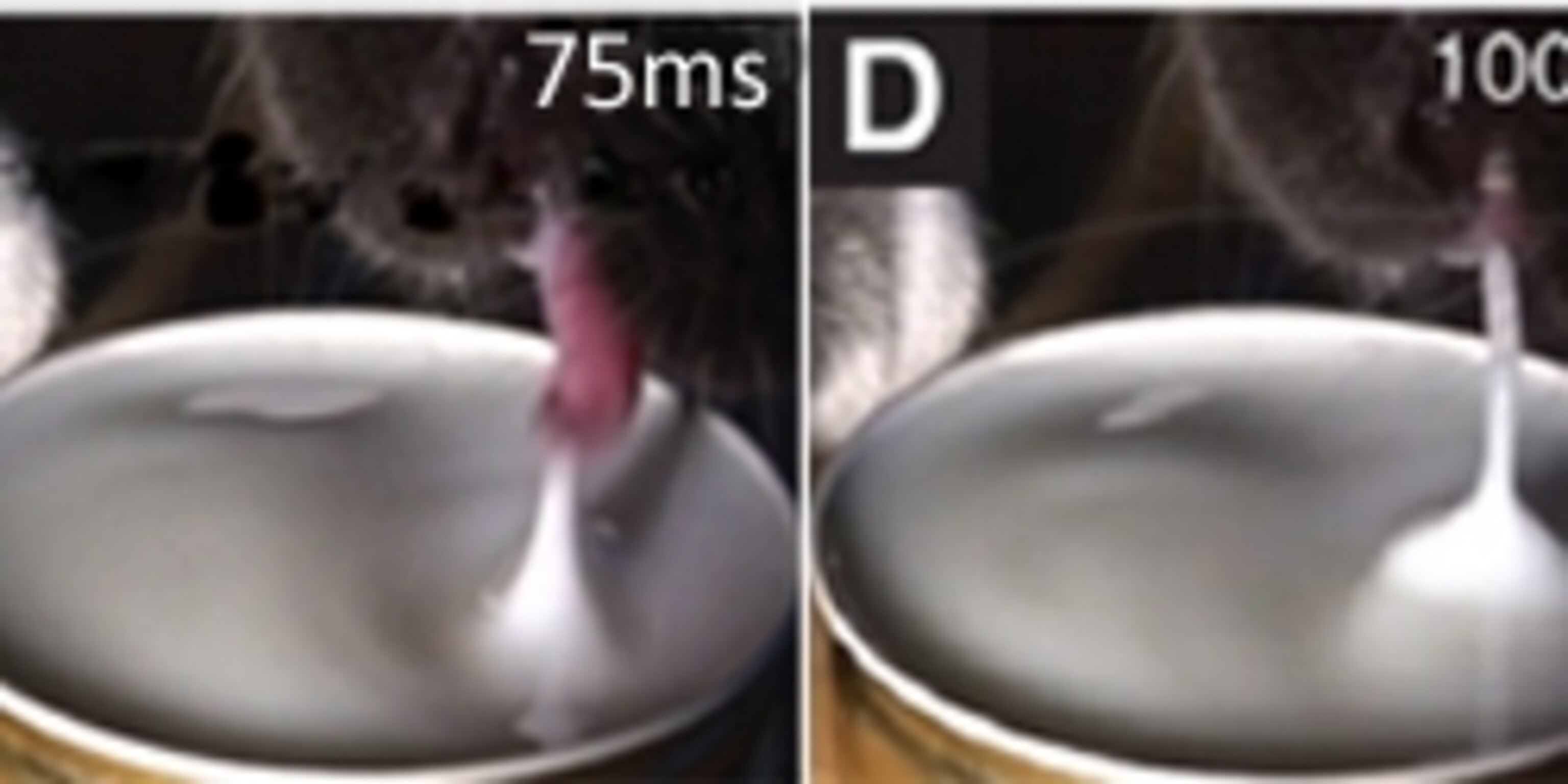 How the cat that got the cream then drank it