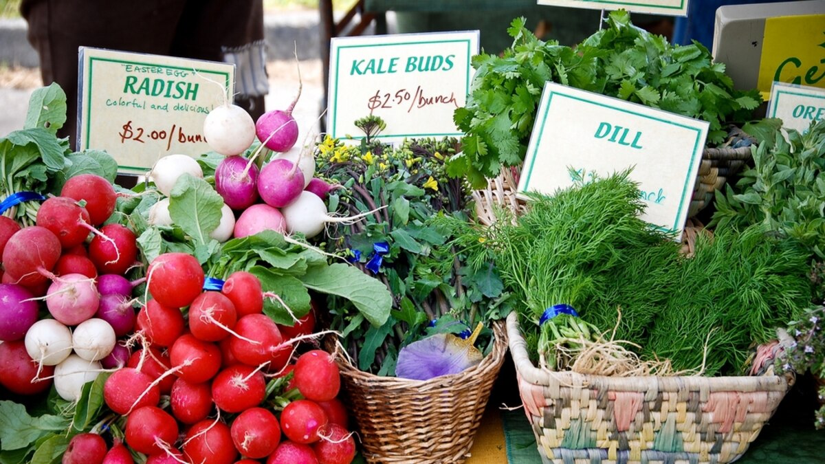 5 Ideas to Change the Food Network | National Geographic