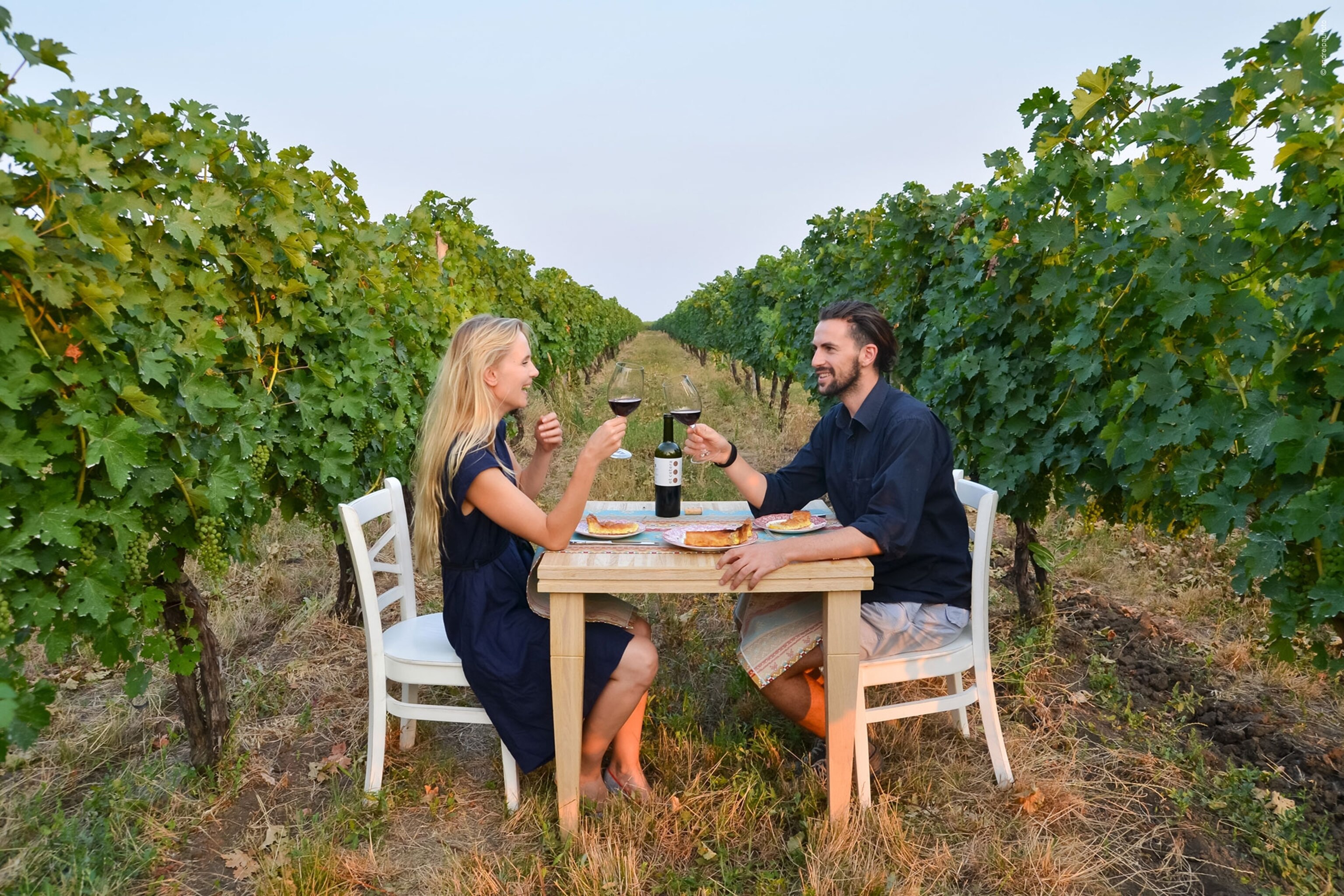 Discover Moldova's vibrant viticulture regions