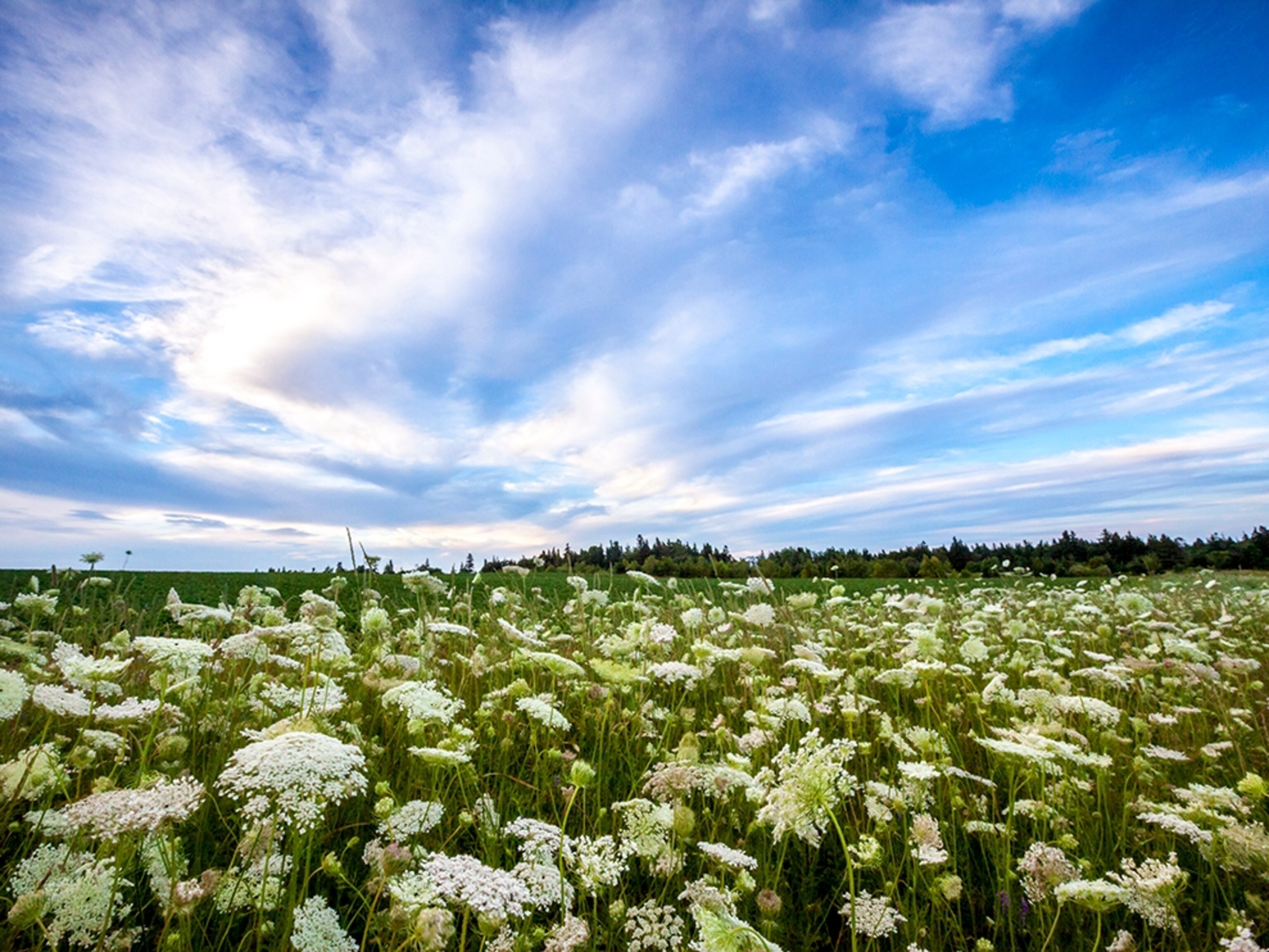 Pictures: Canadian Landscapes