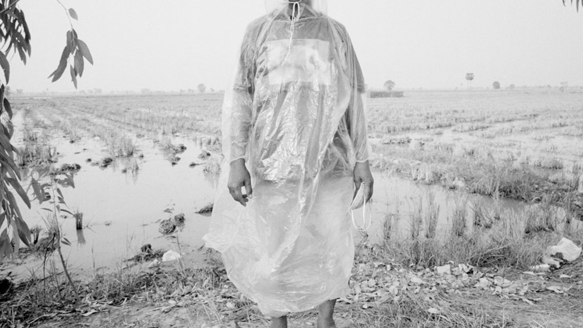 Killer Flu Article, Influenza Virus Information, Pathogen Facts ...