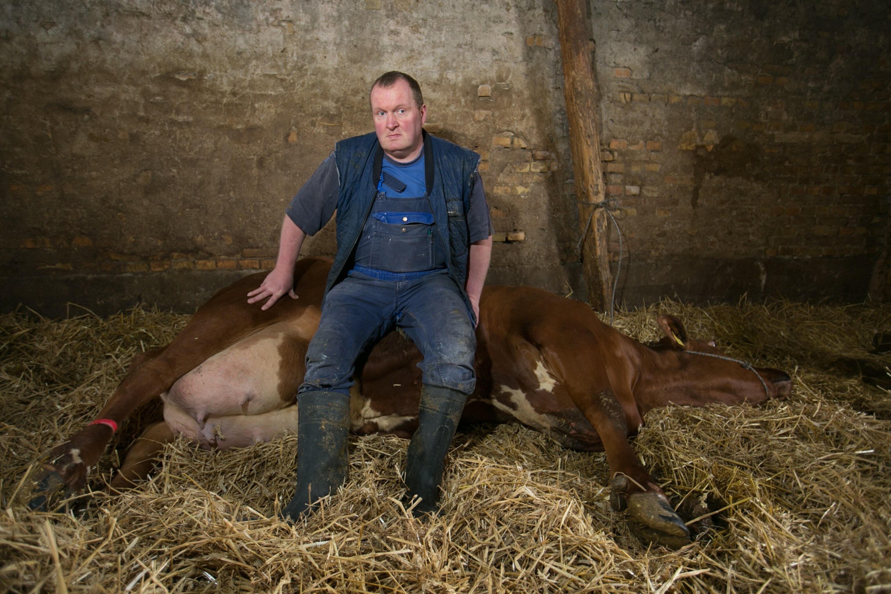 Heartwarming Animal Love Pictures From Your Shot | National Geographic