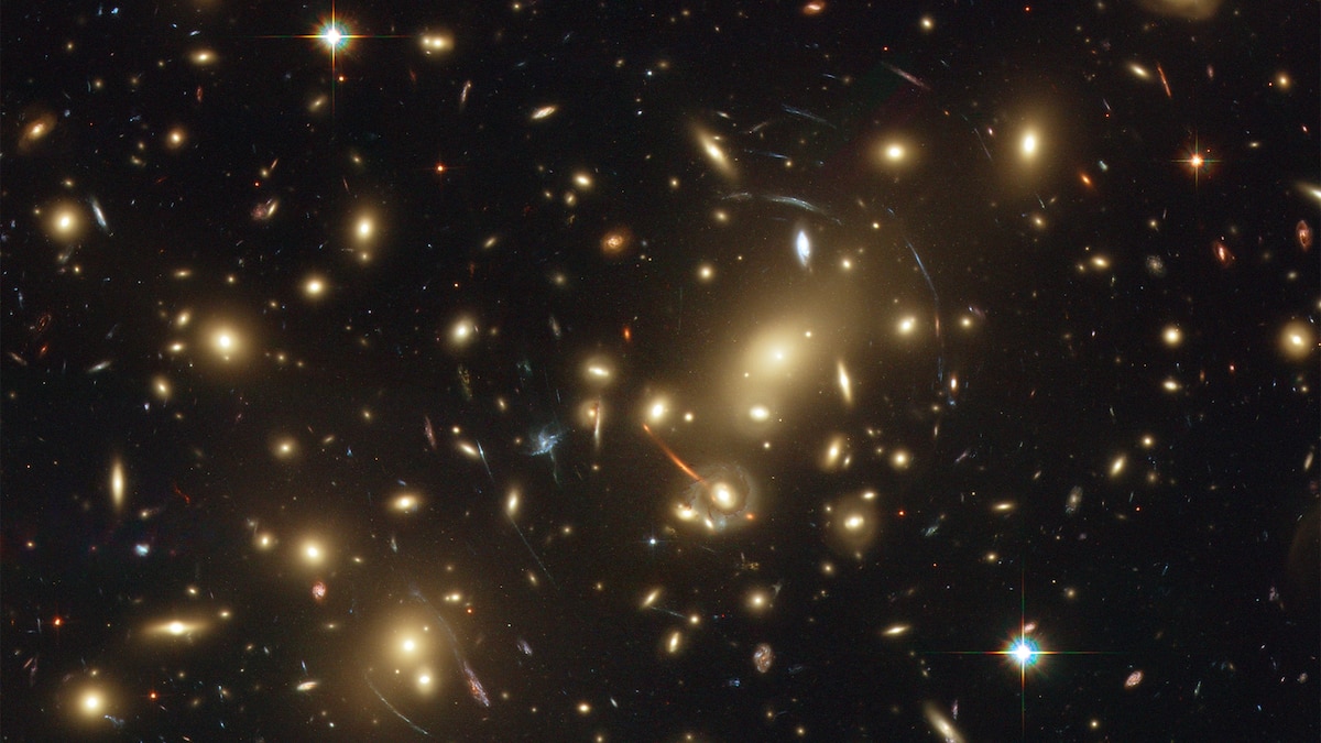 Why Bill Nye Calls Evolution 'Undeniable' and Creationism 'Inane ...