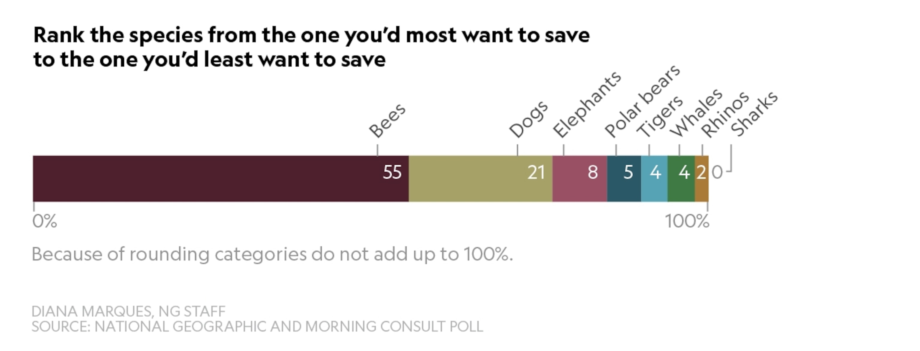 Why are these dogs good soldiers? | National Geographic