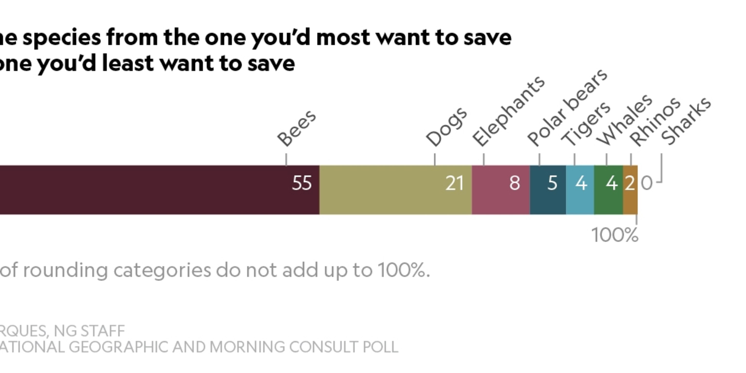 Why are these dogs good soldiers?