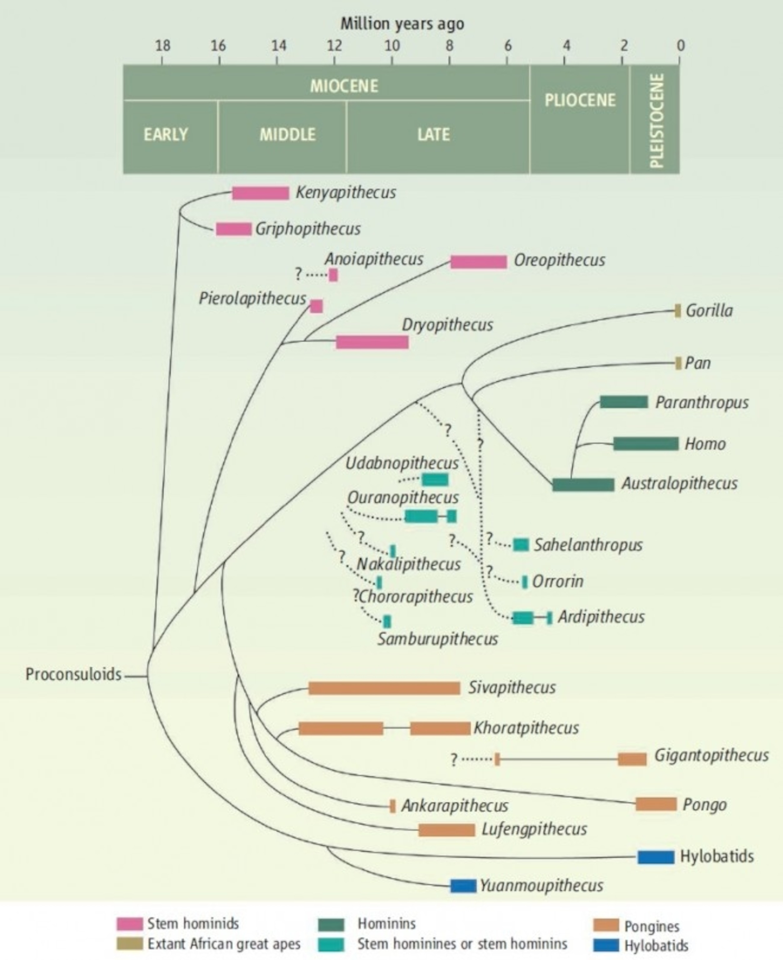 Ancestor Worship | National Geographic