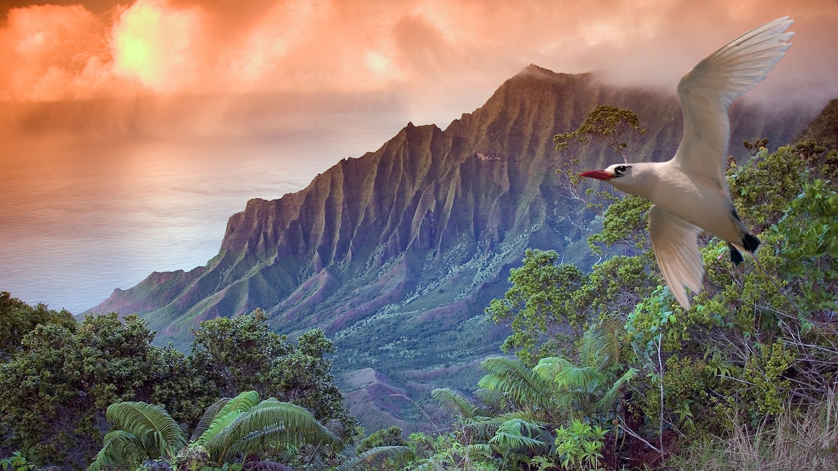 7 Heart-Racing Hawaiian Adventures for Two