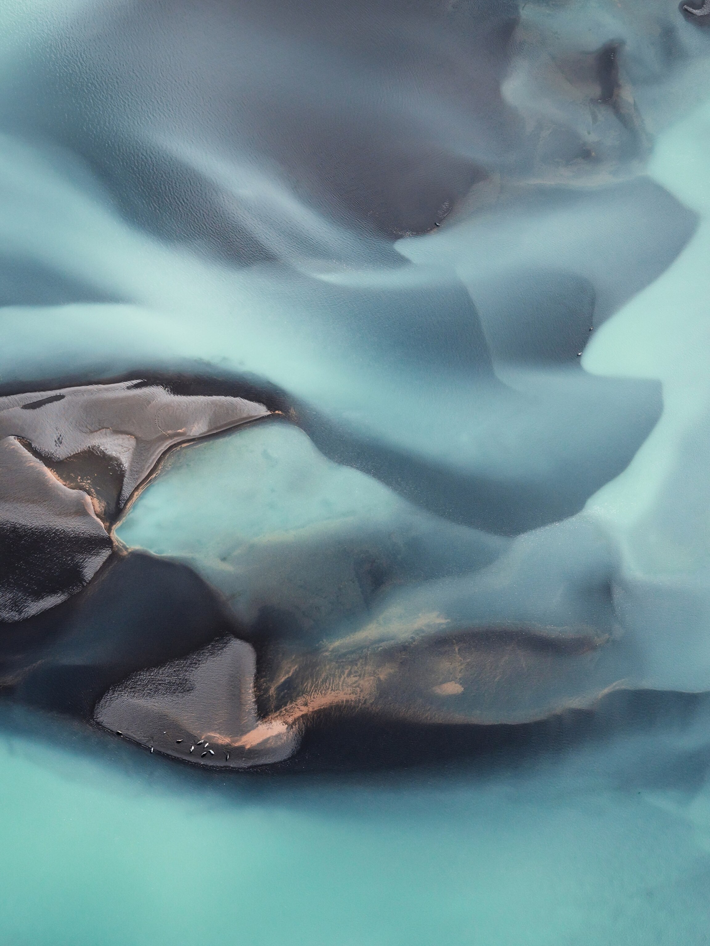 25 spectacular pictures of patterns in nature from the National ...