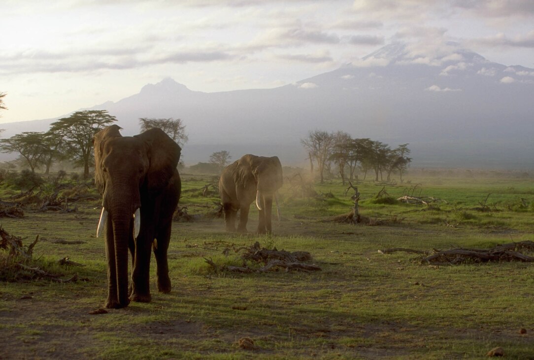 Background Pictures National Geographic
